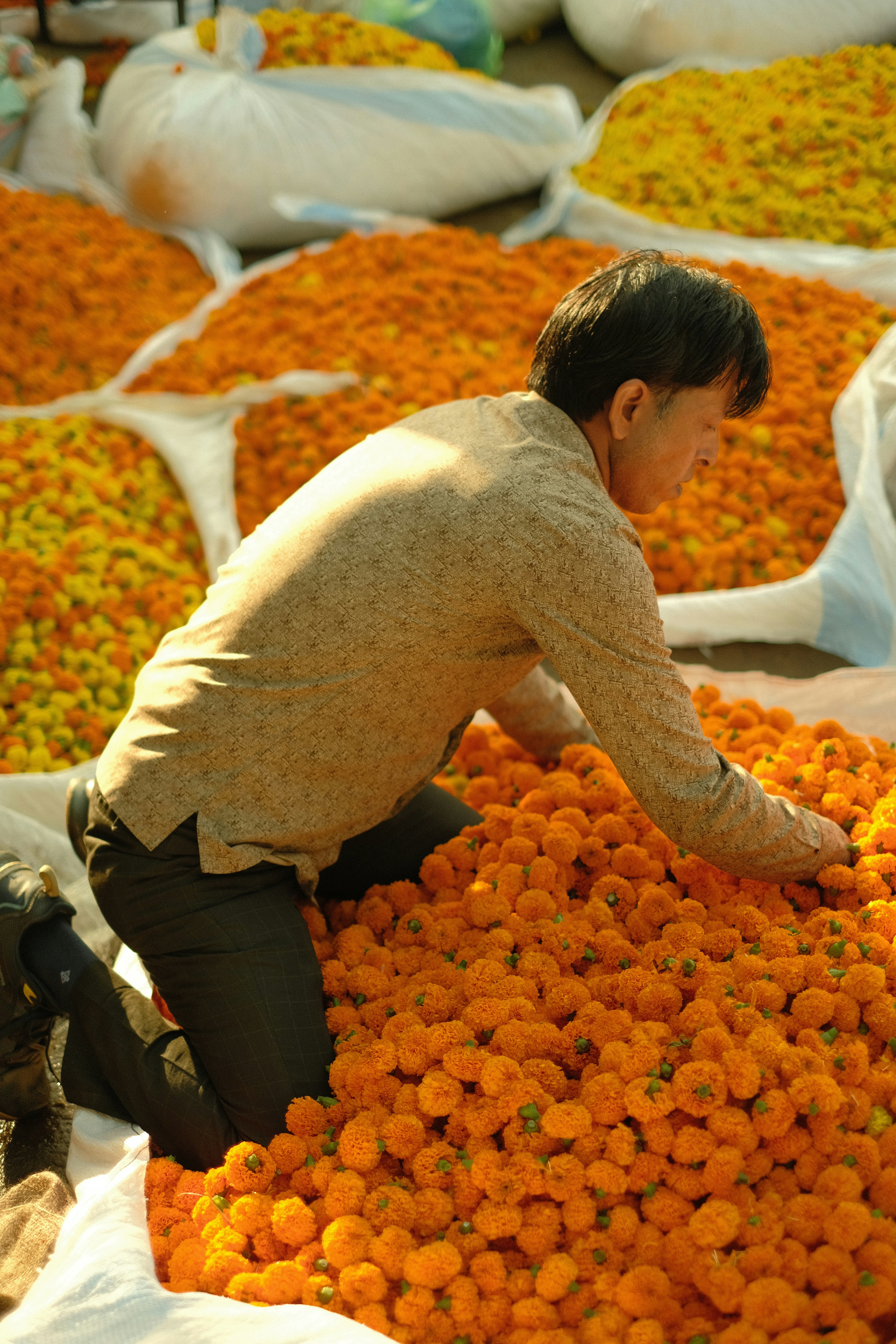 Hands in a Sea of Marigolds: A Market Portrait of Quiet Labor