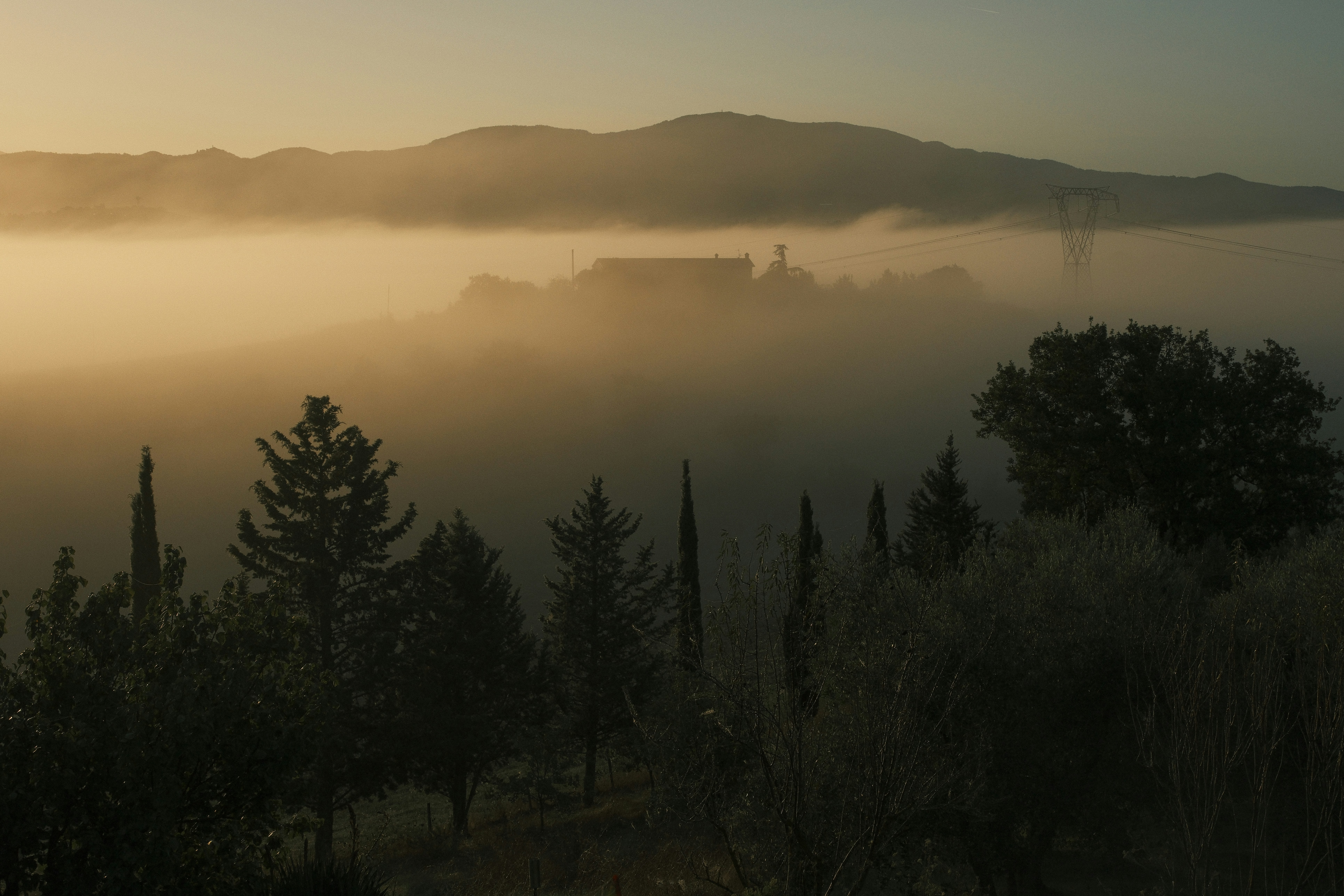 A foggy landscape with trees and mountains in the distance photo – Free ...