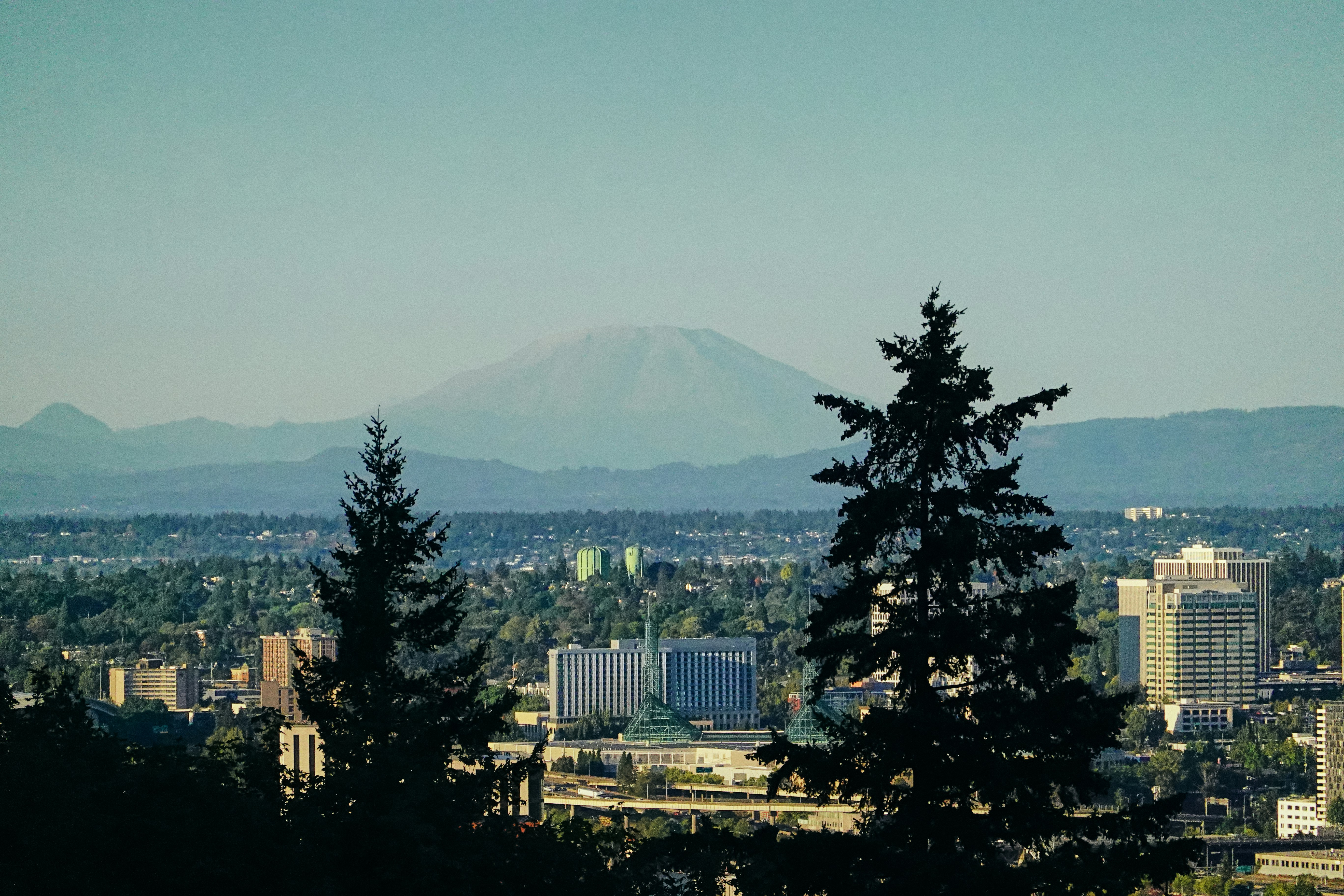A view of a city with a mountain in the background