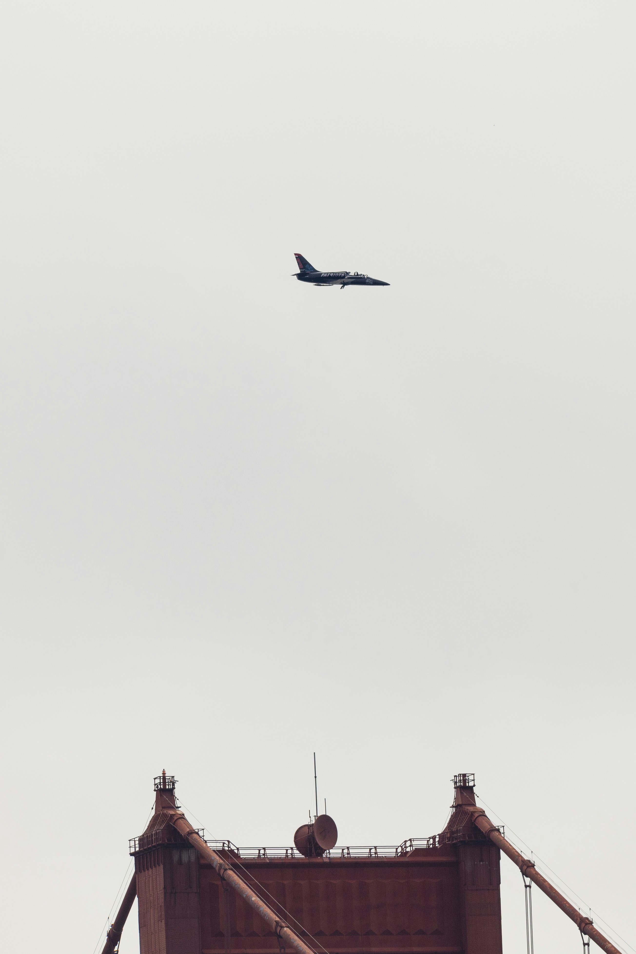 Jet gliding above a mast-lined harbor