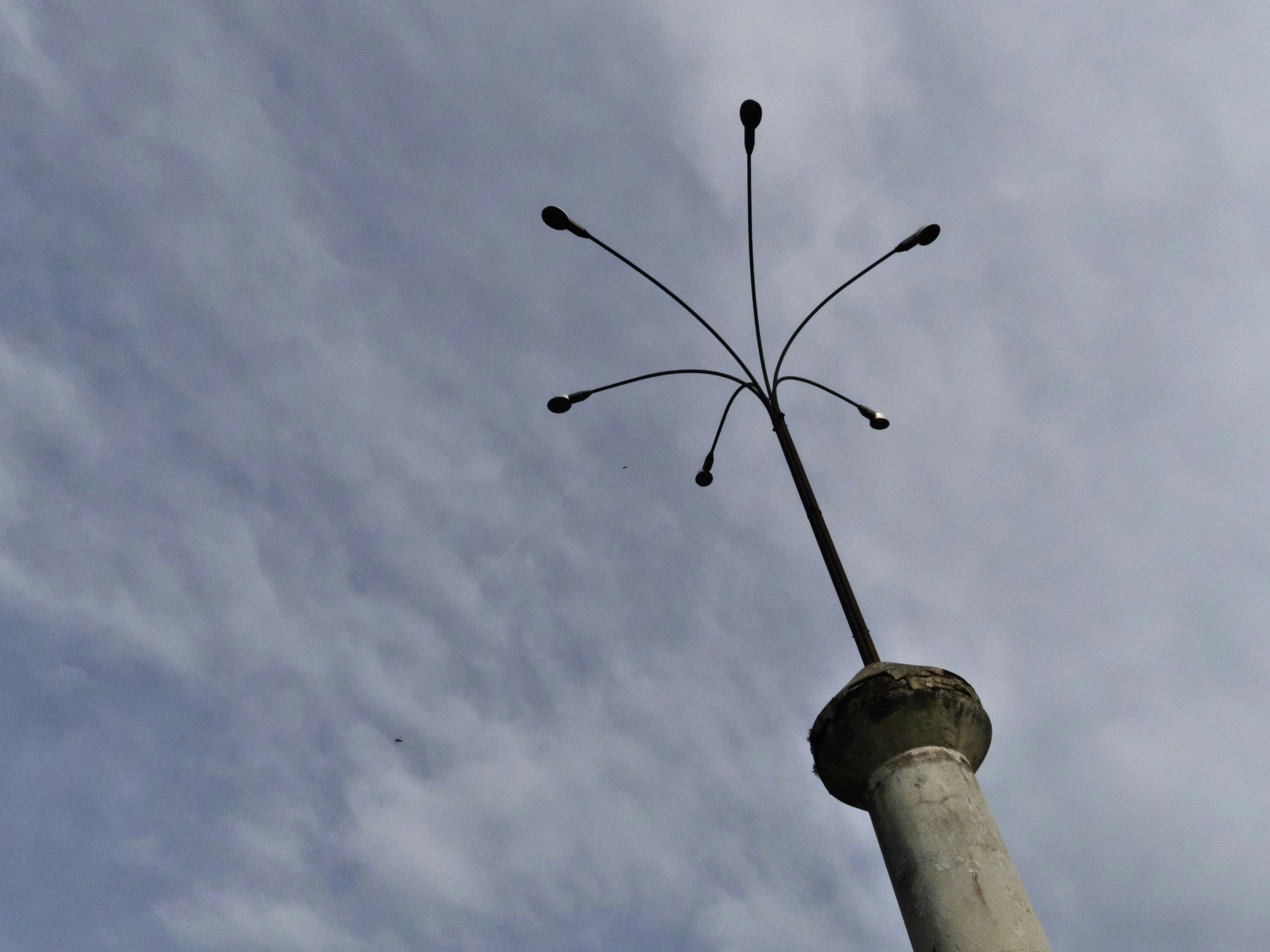 A weather vane on top of a tall pole photo – Free Outdoors Image on ...