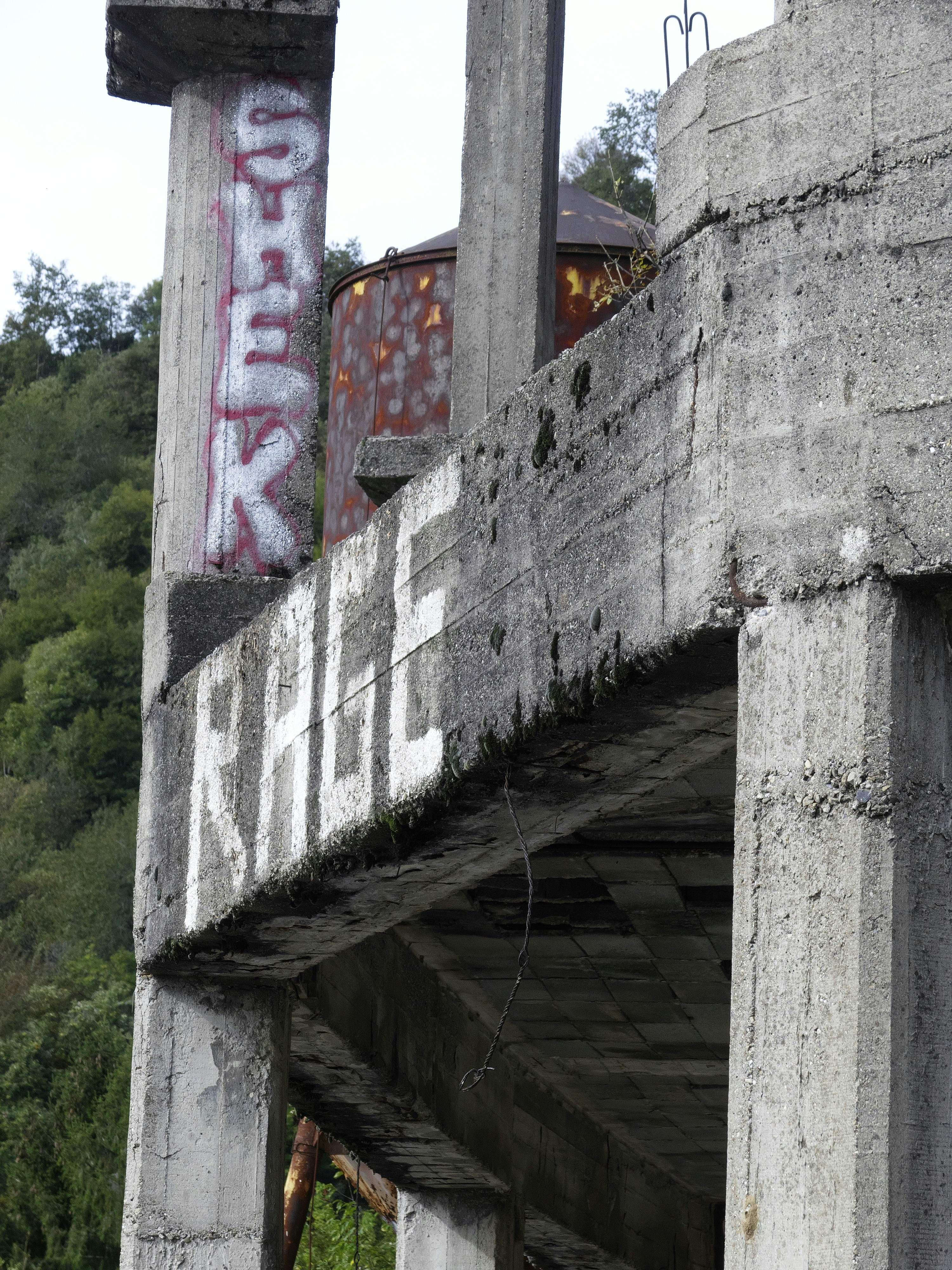 Graffitied Concrete Ascend: Ruins Framing a Green Cliff
