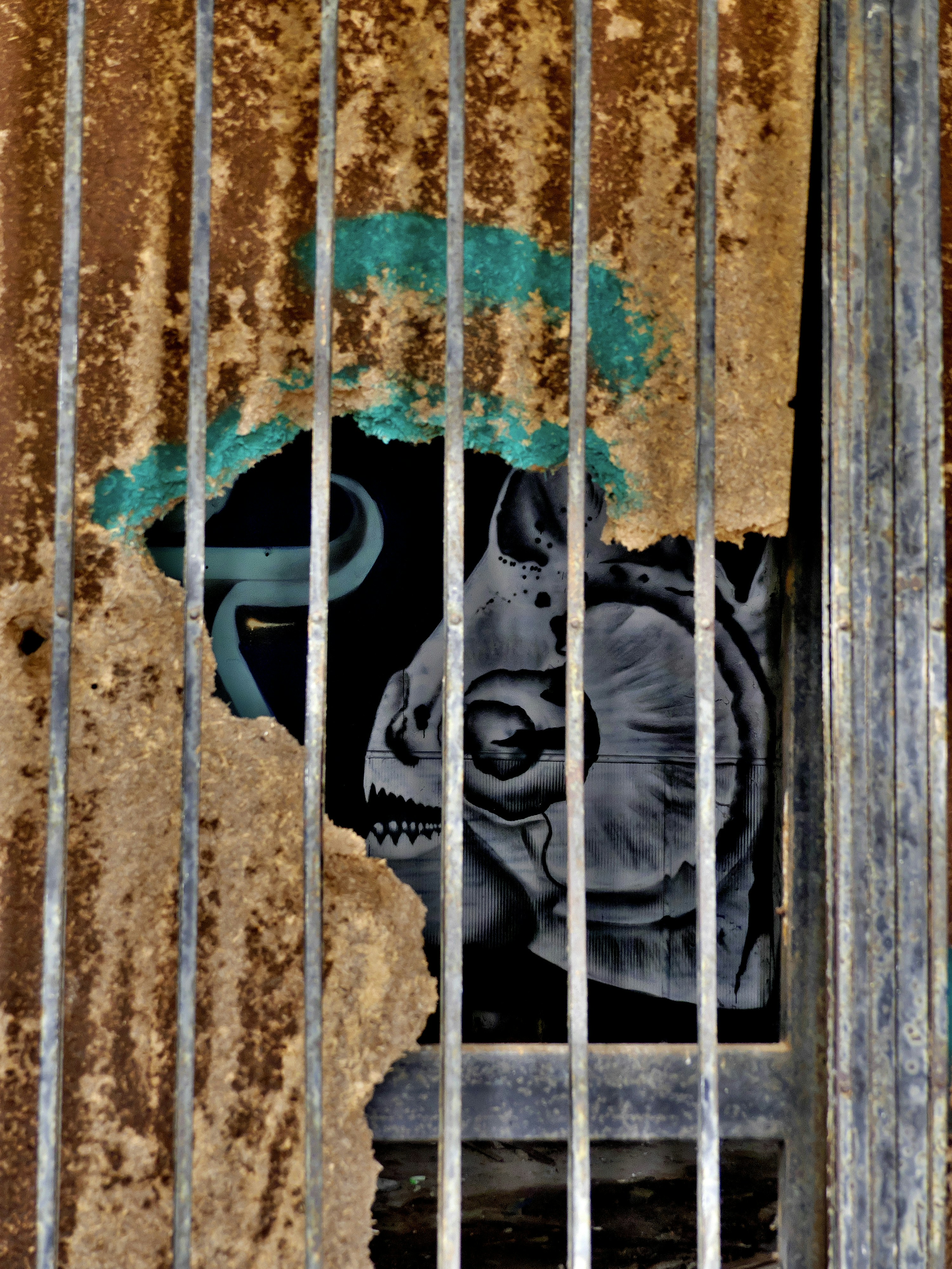 Hidden Sentinel Behind Rust: A grayscale dog emerges through a torn opening