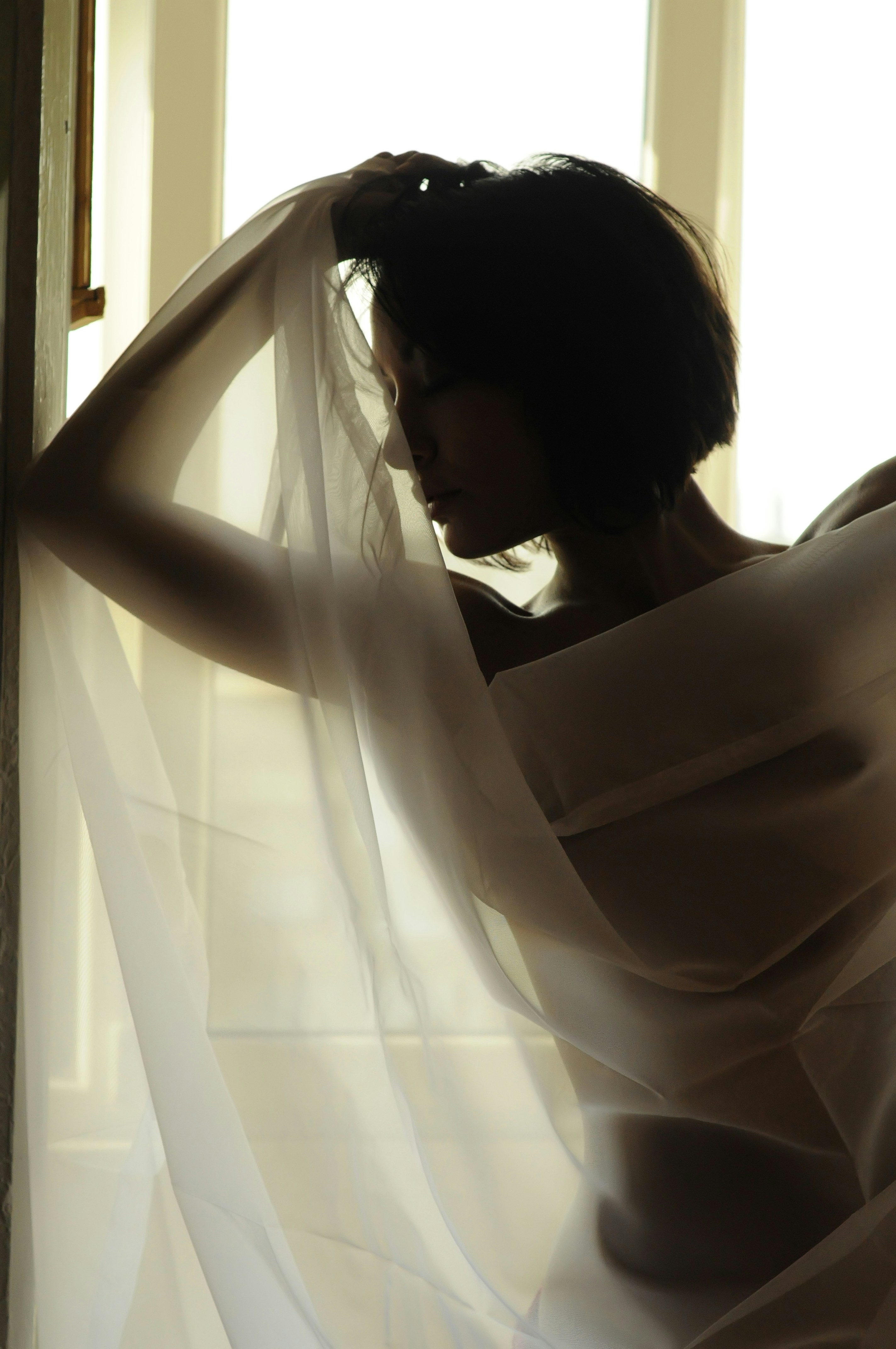 A figure shrouded in translucent fabric, softly illuminated by natural light filtering through a window. The scene evokes a sense of tranquility and introspection.