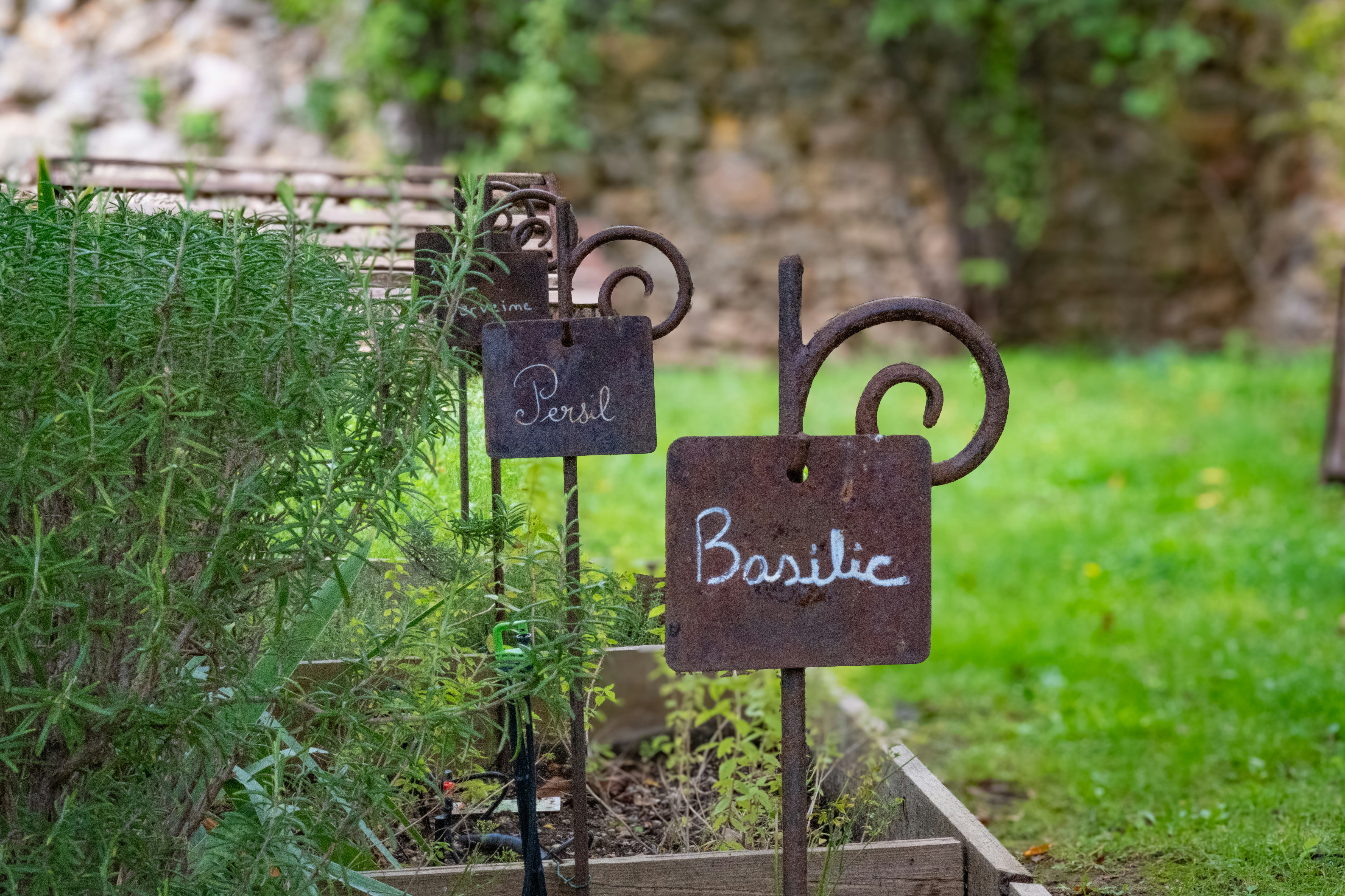 A herb garden in France with the names of the herbs handwritten on metal signs