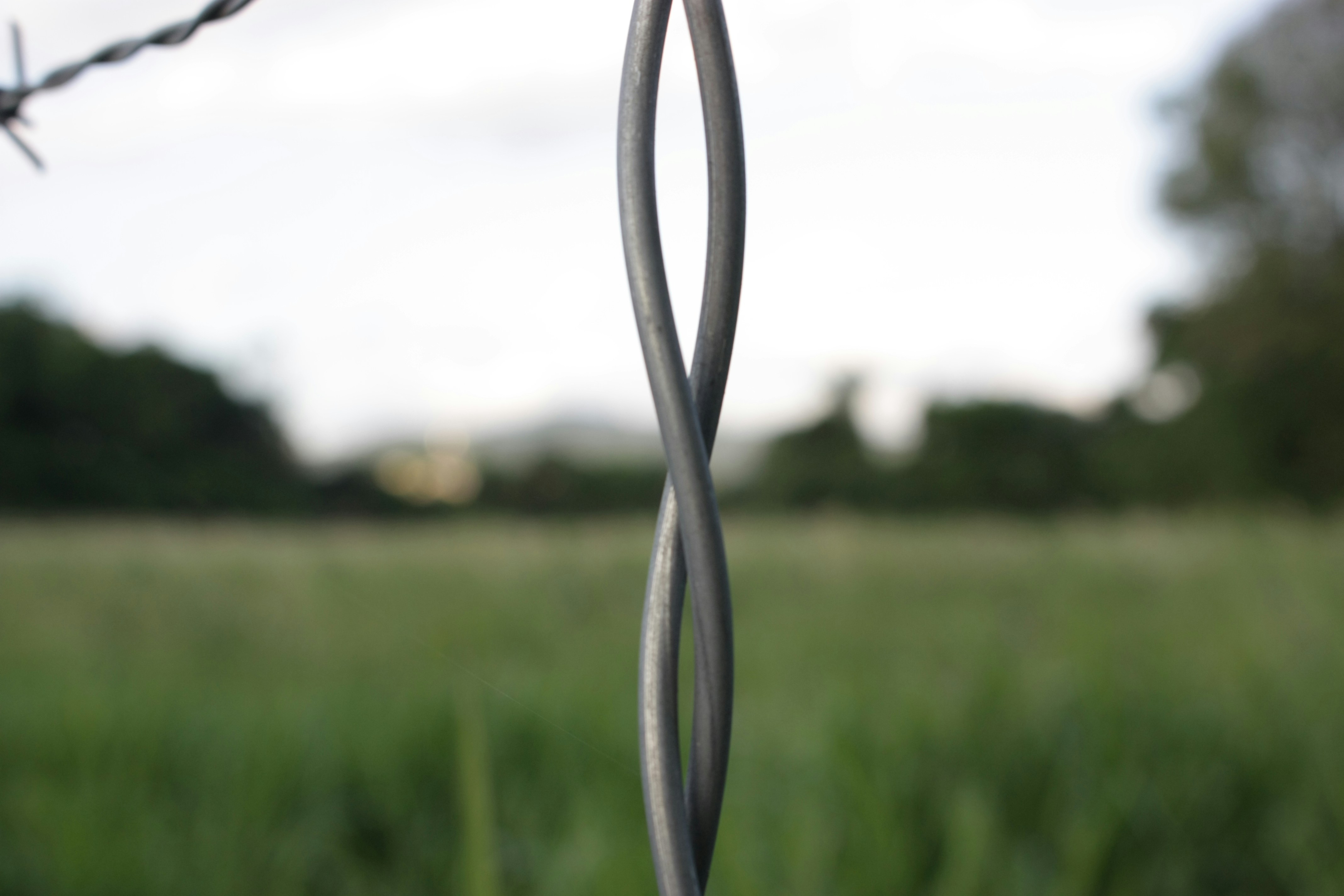 Twist in Focus: Close-Up of Weathered Wire Framing a Quiet Meadow