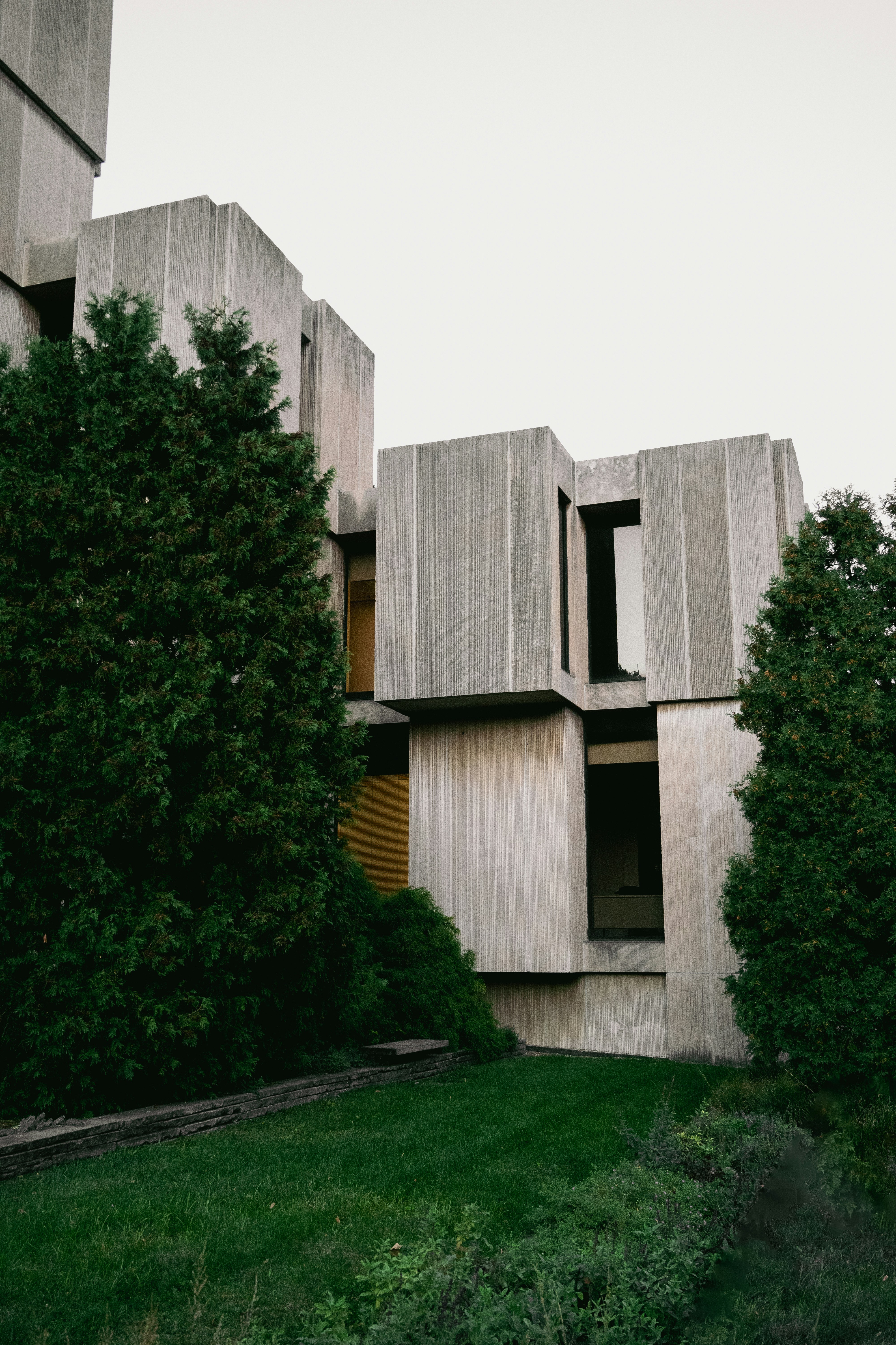 Brutalist Geometry Framed by Evergreen Veil