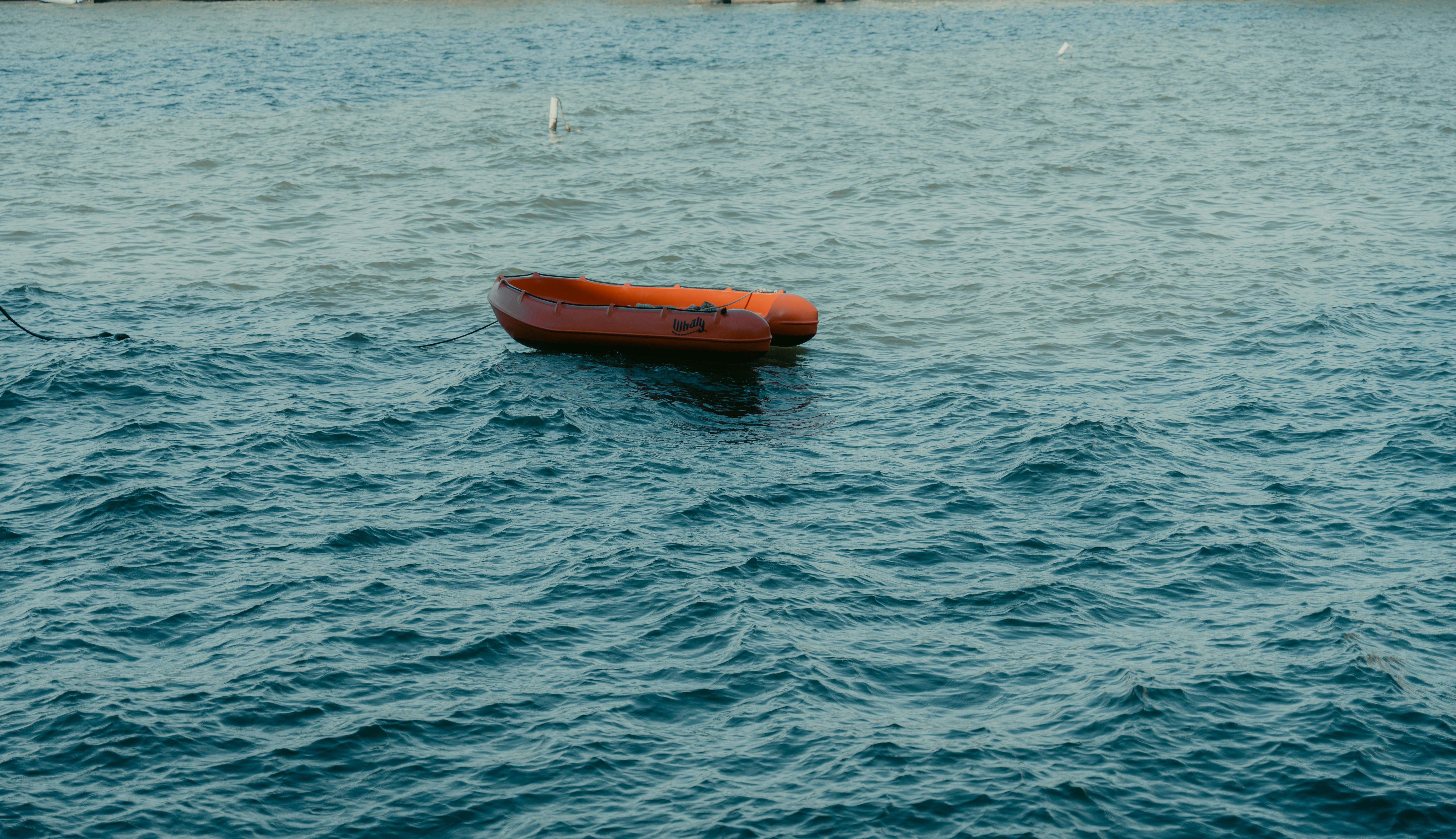 An orange buoy floating in the middle of a body of water photo – Free ...