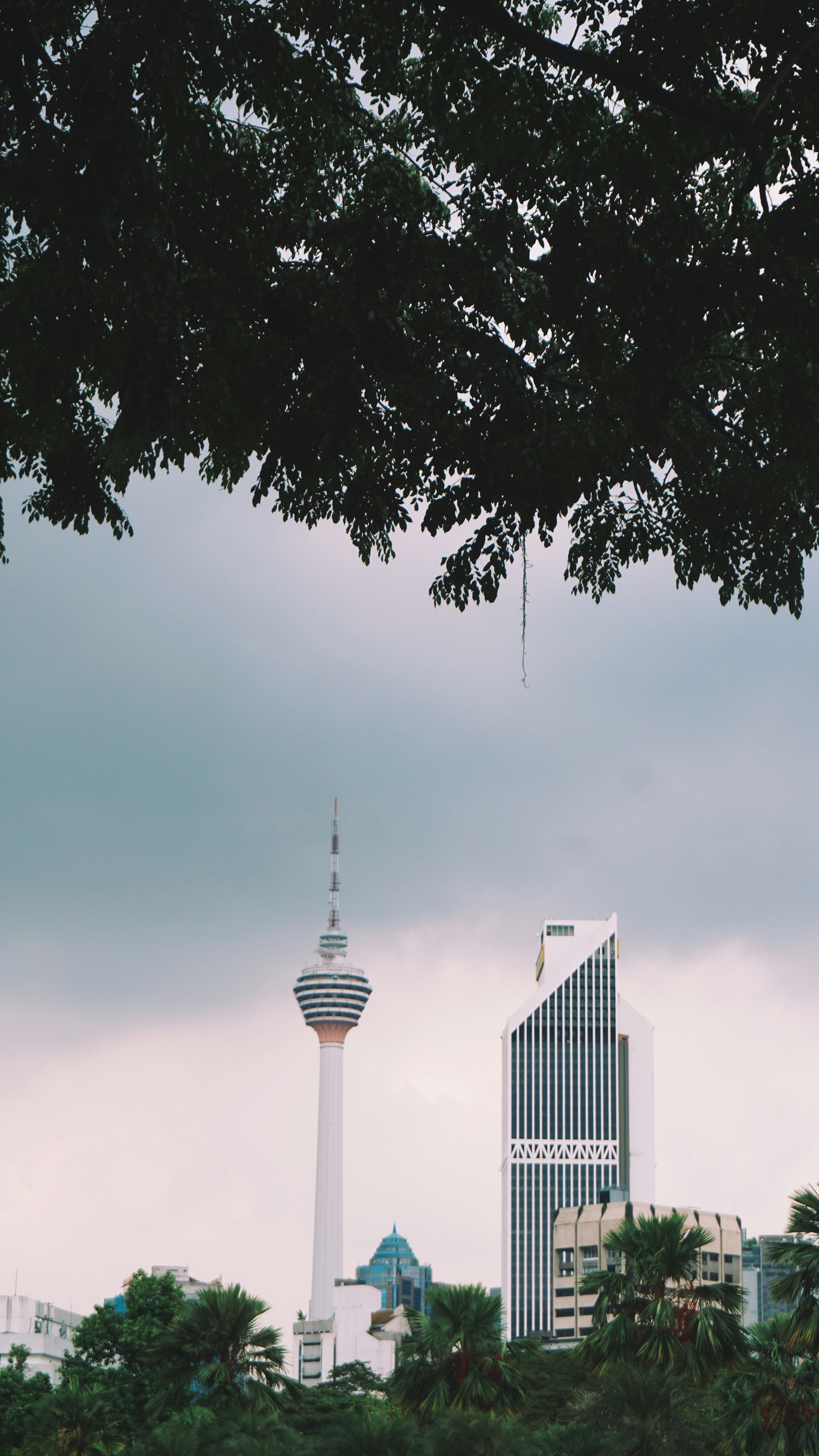 Skyline Between Shadows: Kuala Lumpur’s Tower and Glass Monoliths Under a Verdant Canopy