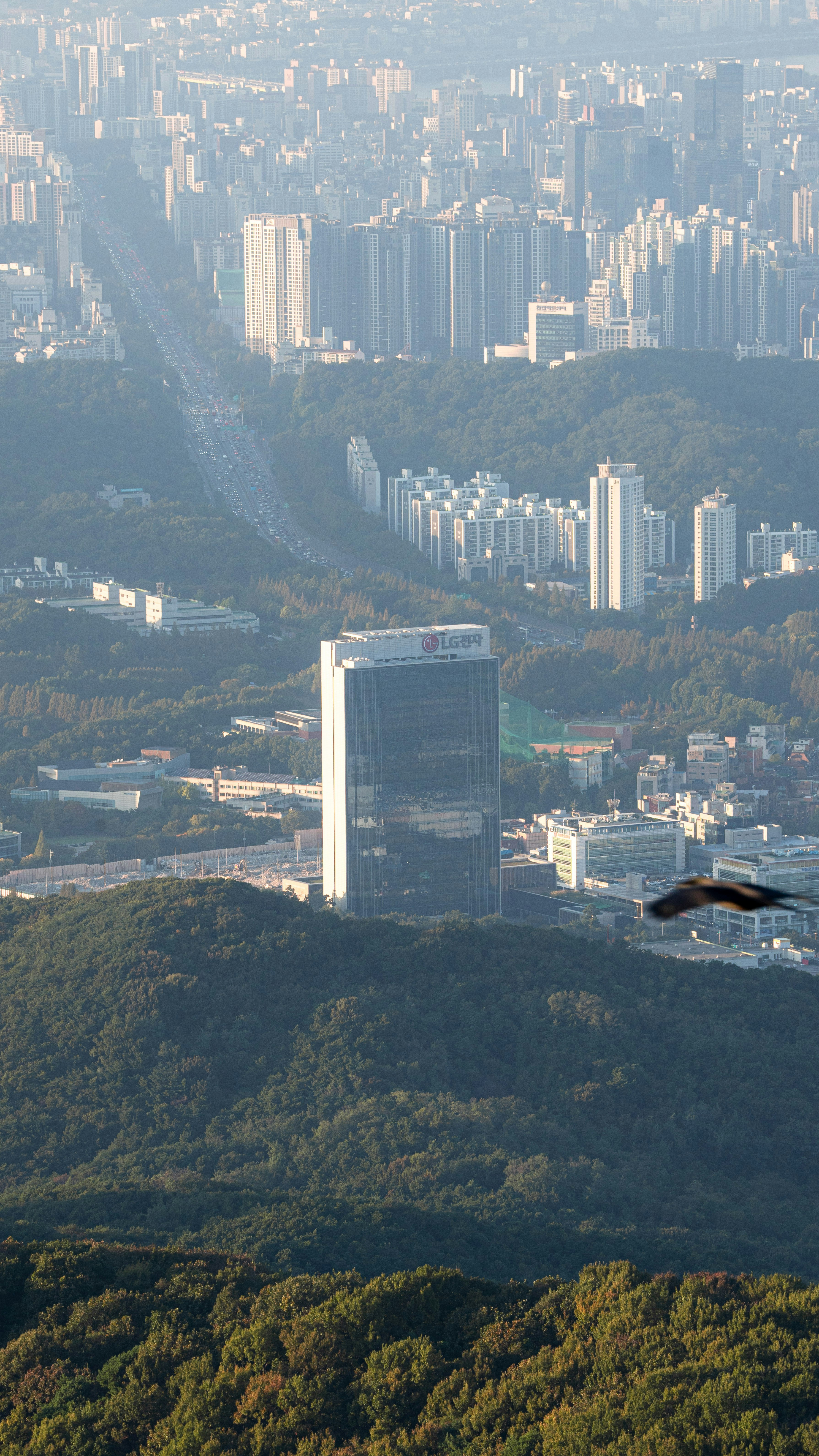 Glass Tower Amid Hazy Skyline and Verdant Foreground