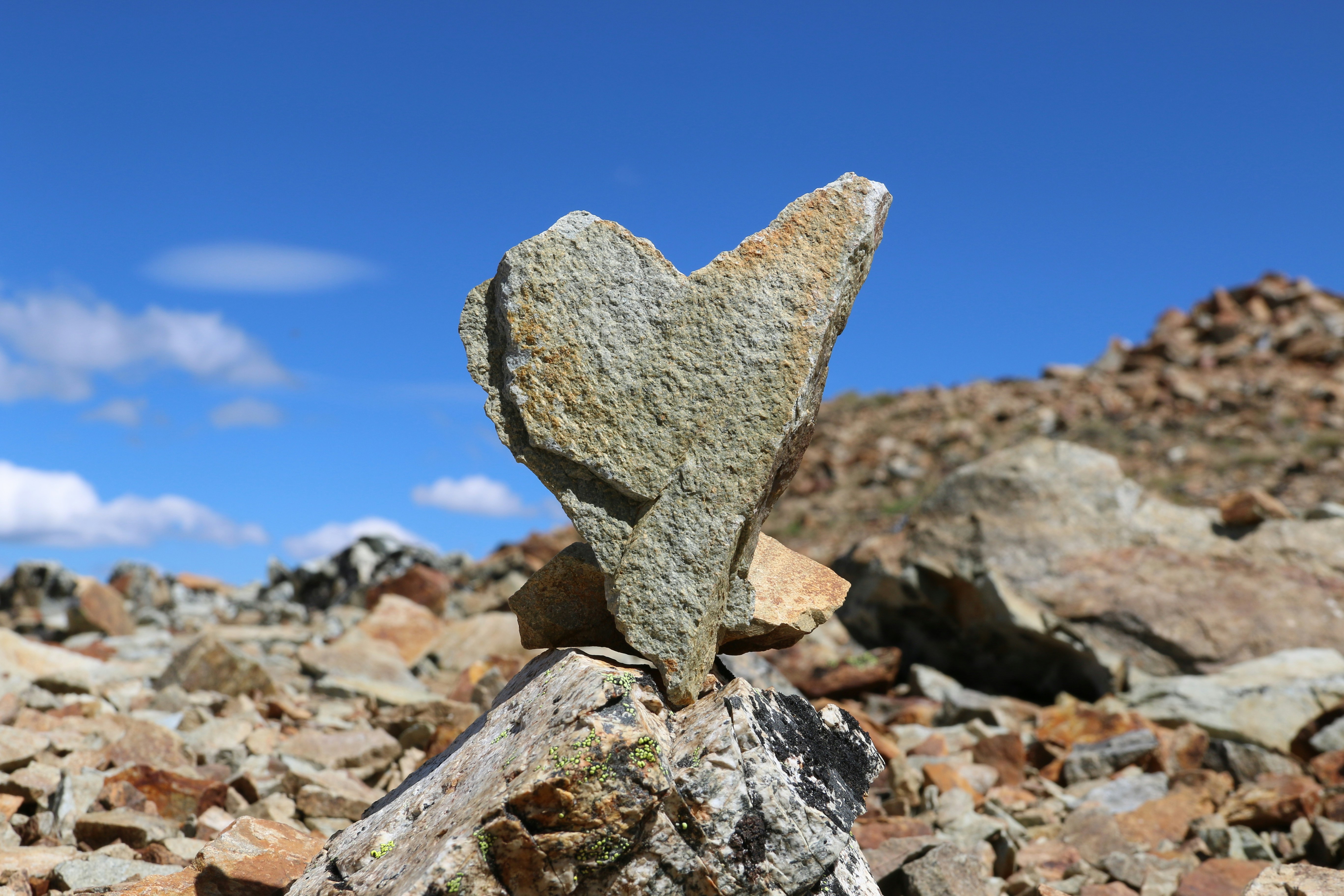 Photo by Max Mustermann with Canon EOS 70D