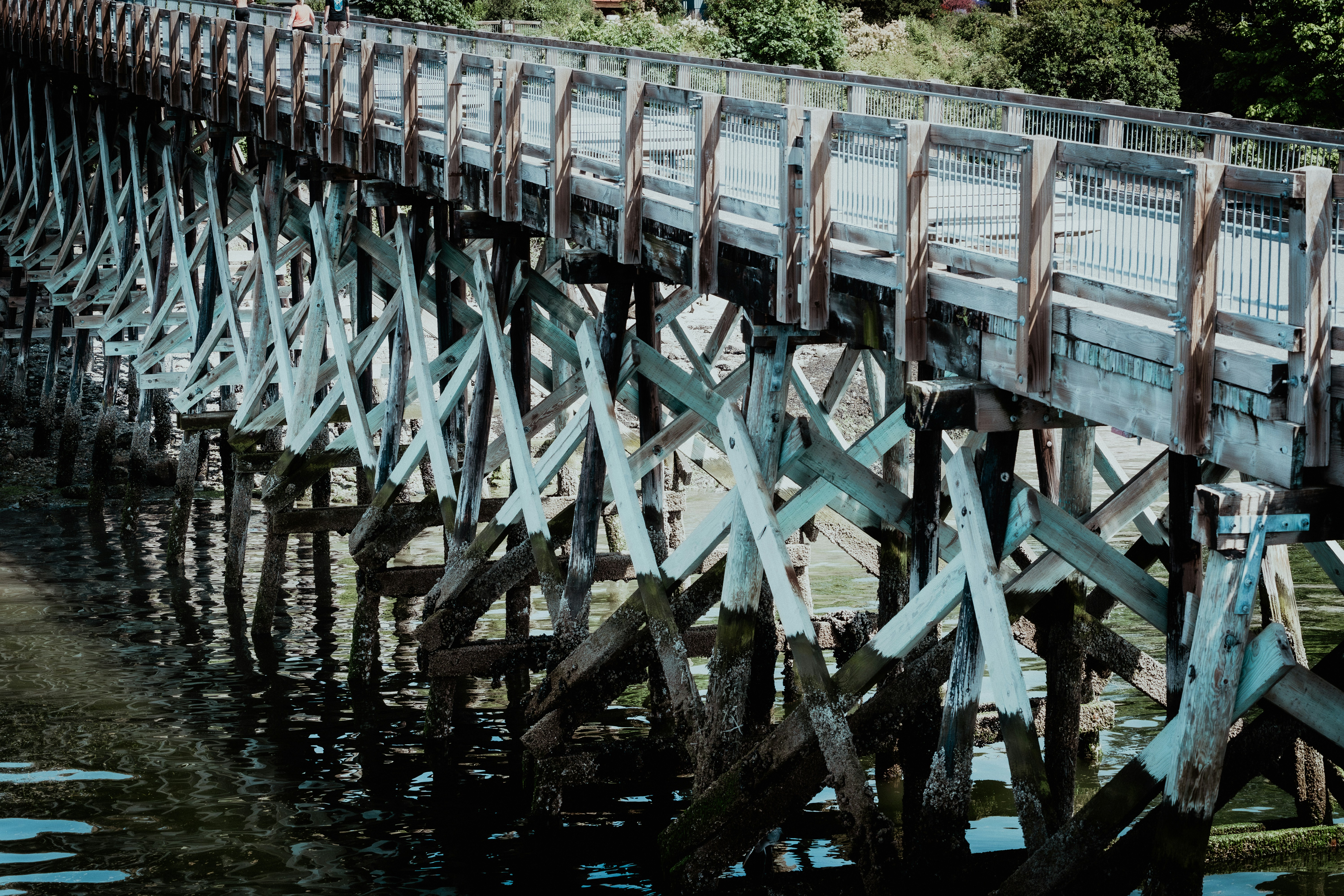 Crisscrossed Timber: A Weathered Bridge Spanning Quiet Waters