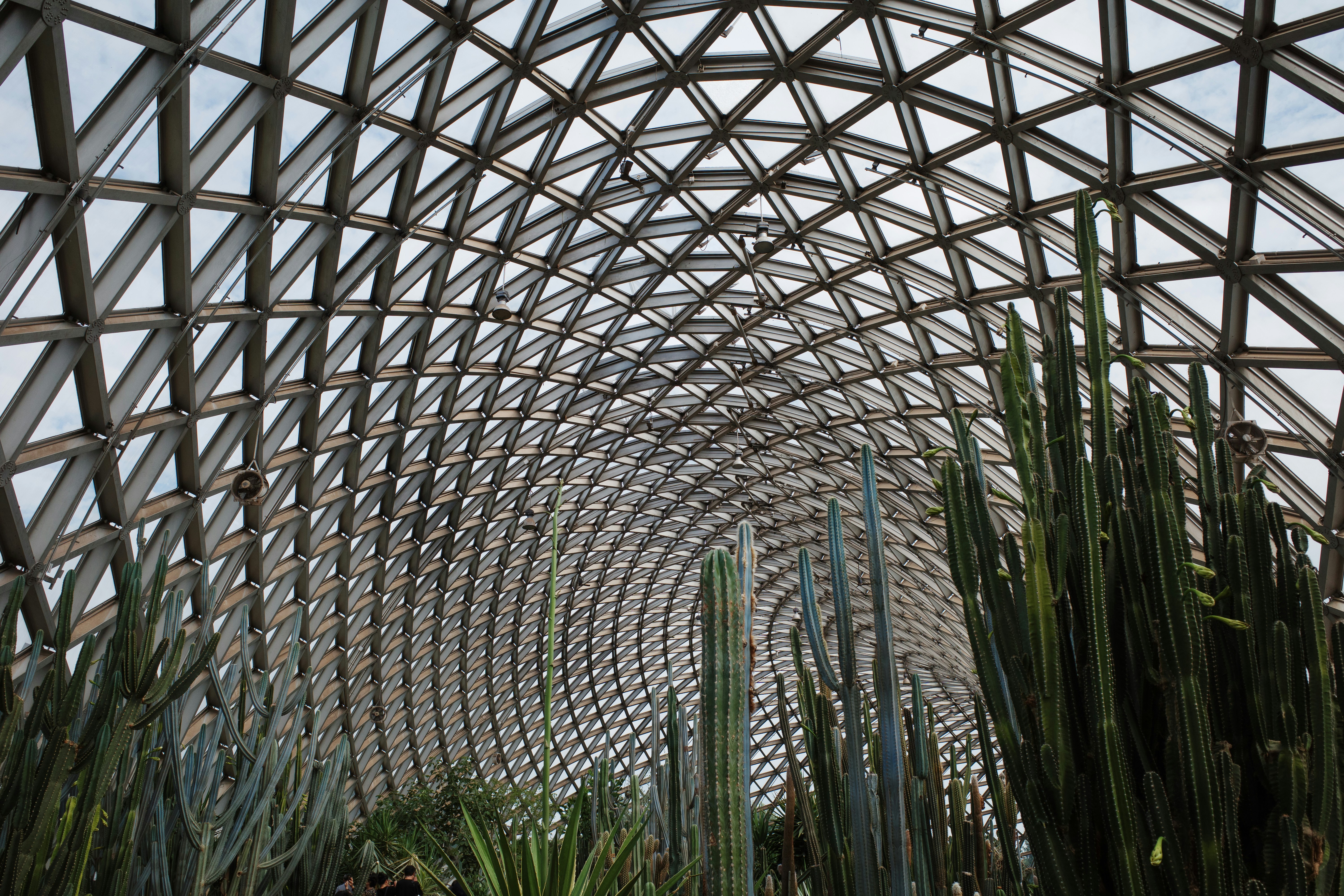 Photo by Declan Sun with Ricoh GR III HDF