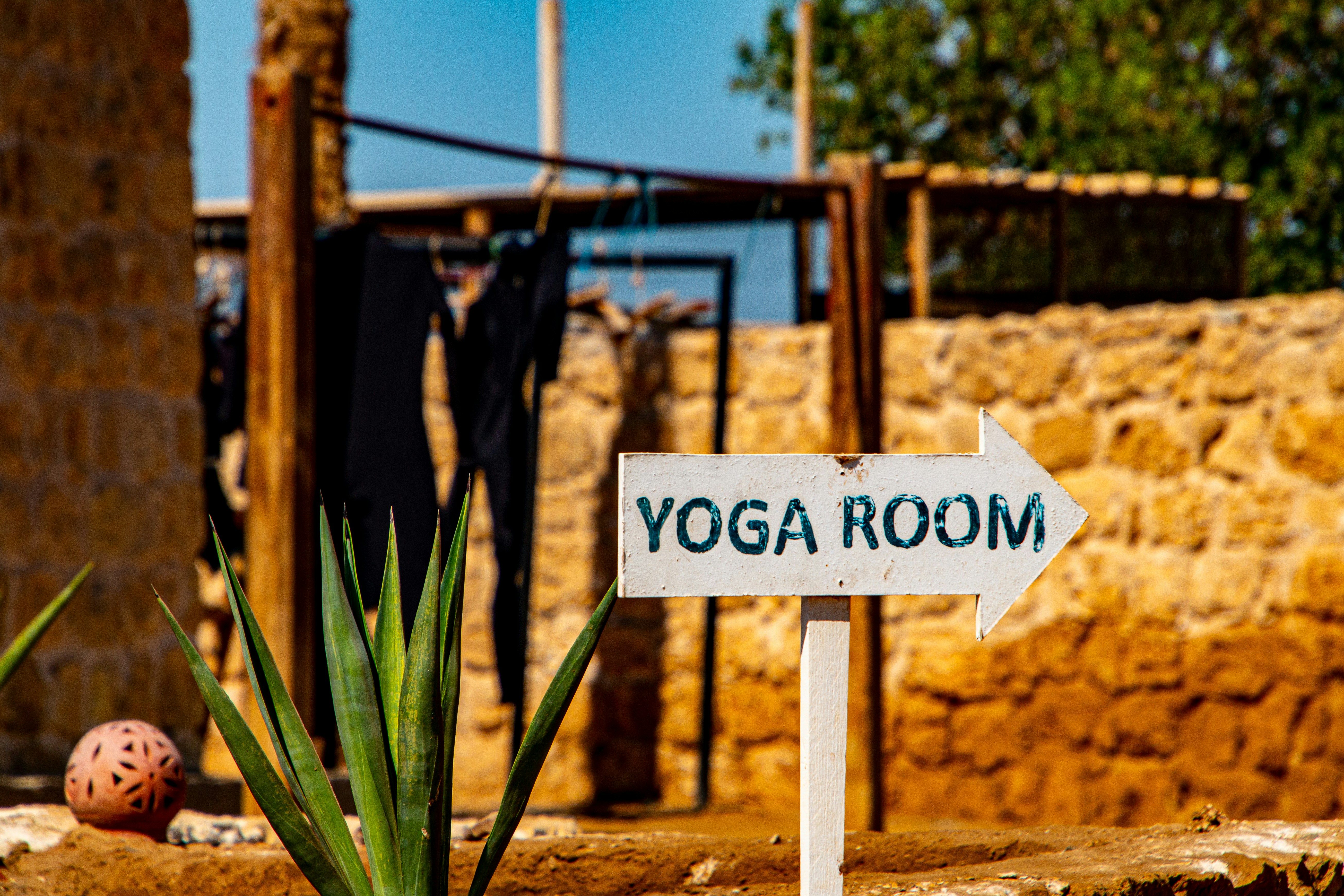 A rustic white directional arrow pointing toward a "YOGA ROOM" stands prominently against a sun-drenched backdrop in Marsa Alam, Egypt. The sign, featuring weathered blue lettering, guides guests through a tranquil resort setting. In the foreground, sharp agave leaves reach upward, while the background reveals a textured stone wall and diving gear drying in the warm breeze. Shot with a shallow depth of field, the focus remains on the sign, capturing the essence of a wellness retreat by the Red Sea. The harsh midday sun creates deep shadows, emphasizing the rustic, coastal aesthetic.