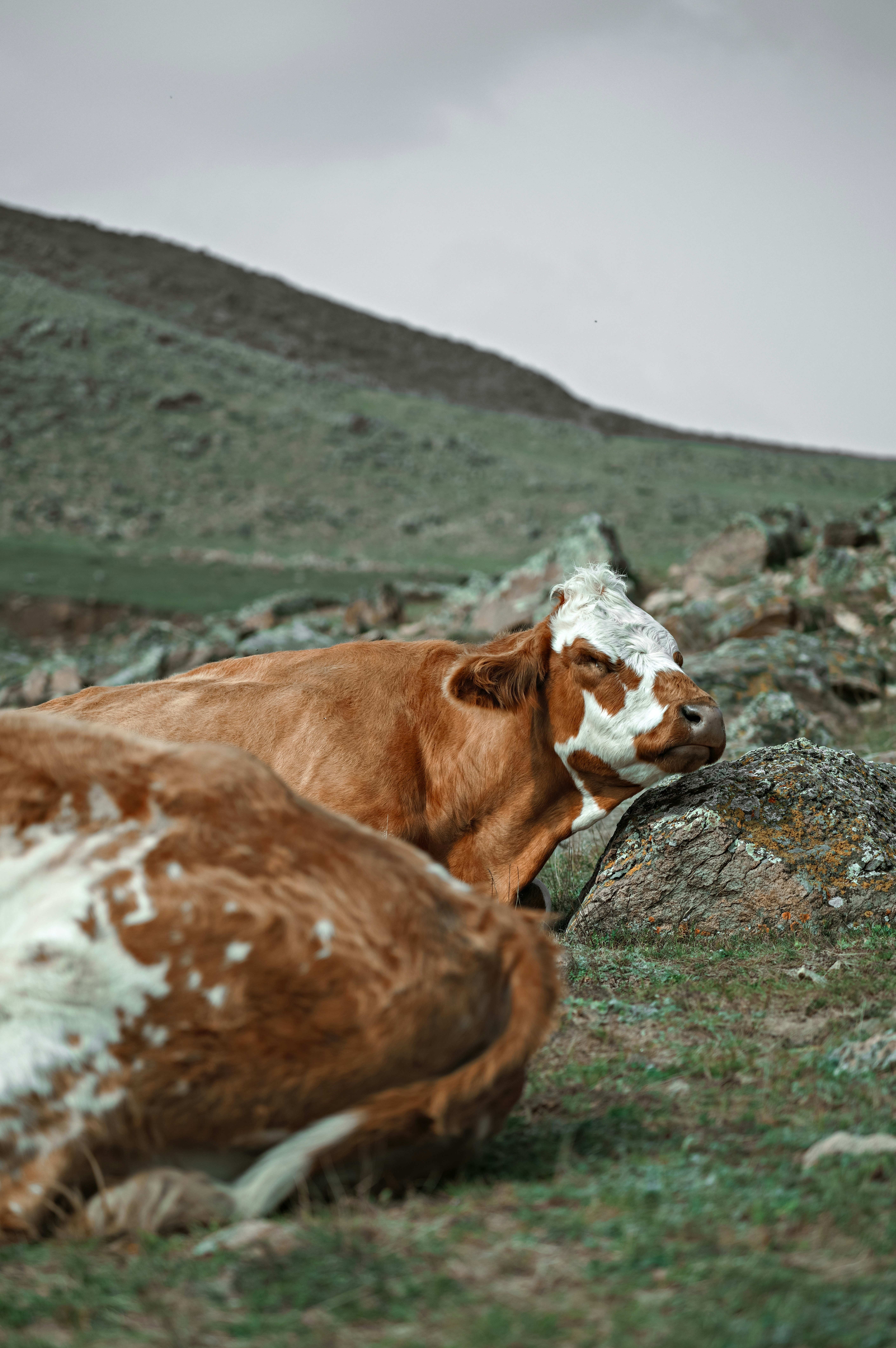 Photo by Dynamic Wang with Sigma fp L