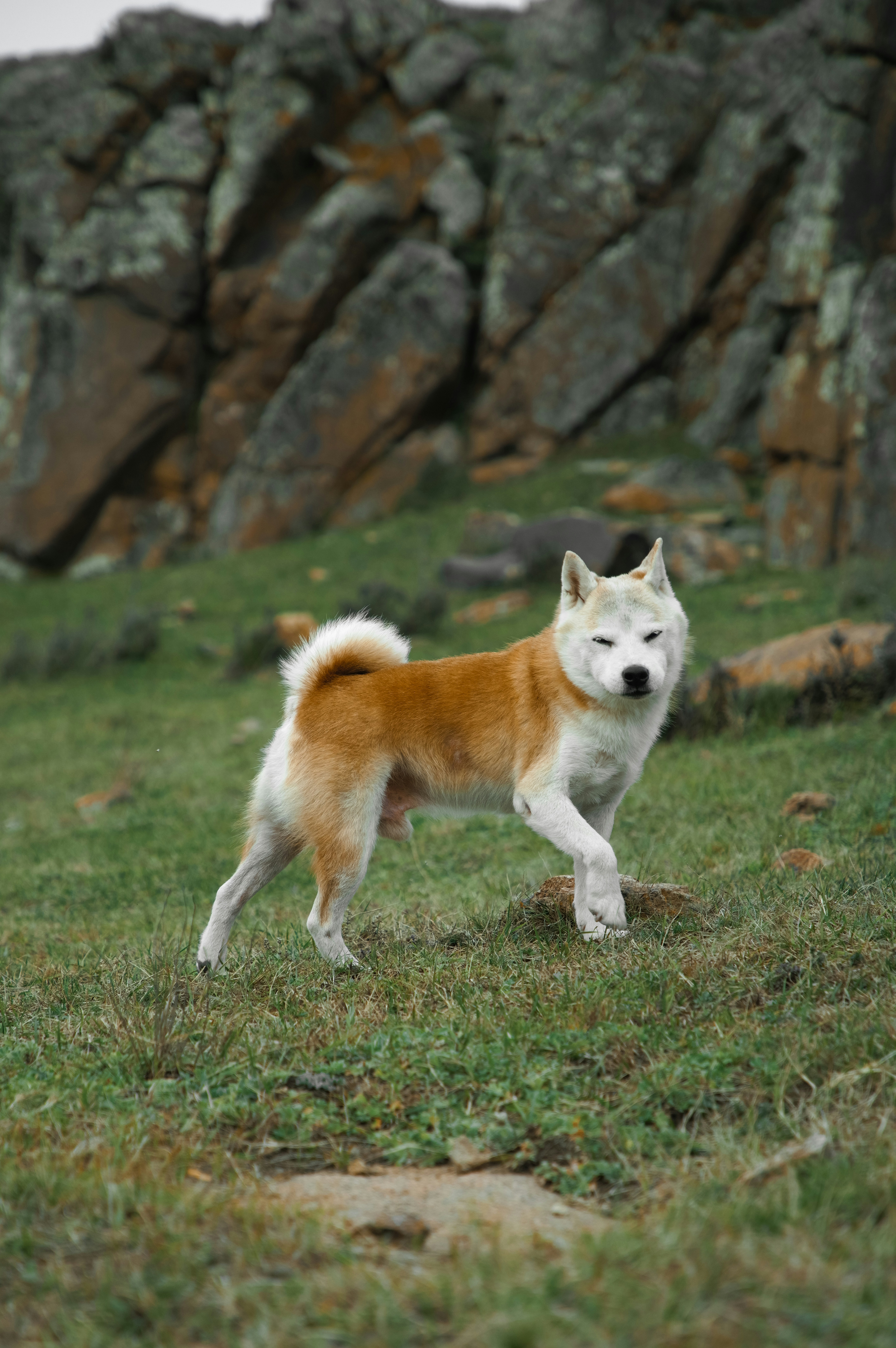 Photo by Dynamic Wang with Sigma fp L