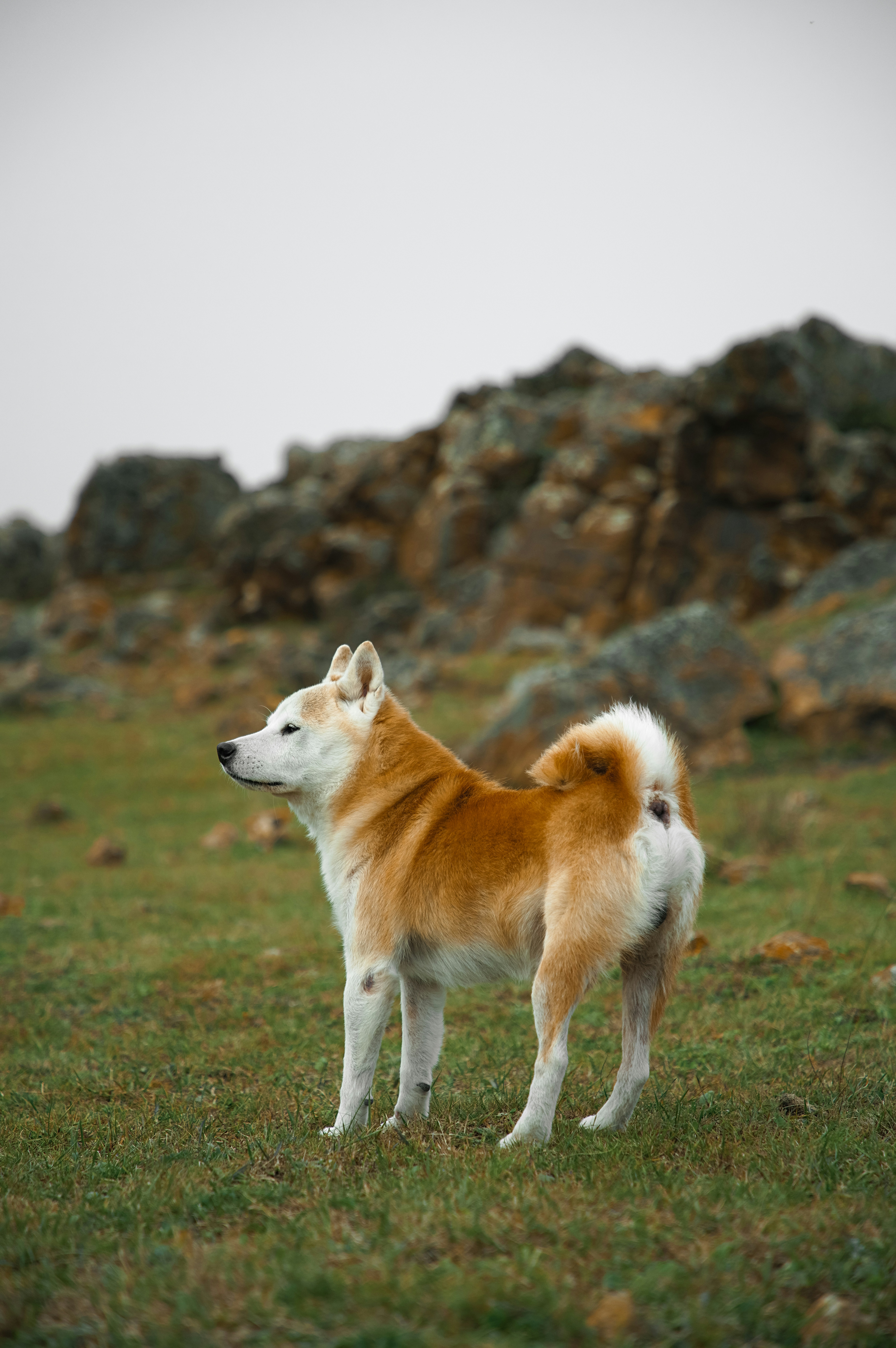 Photo by Dynamic Wang with Sigma fp L