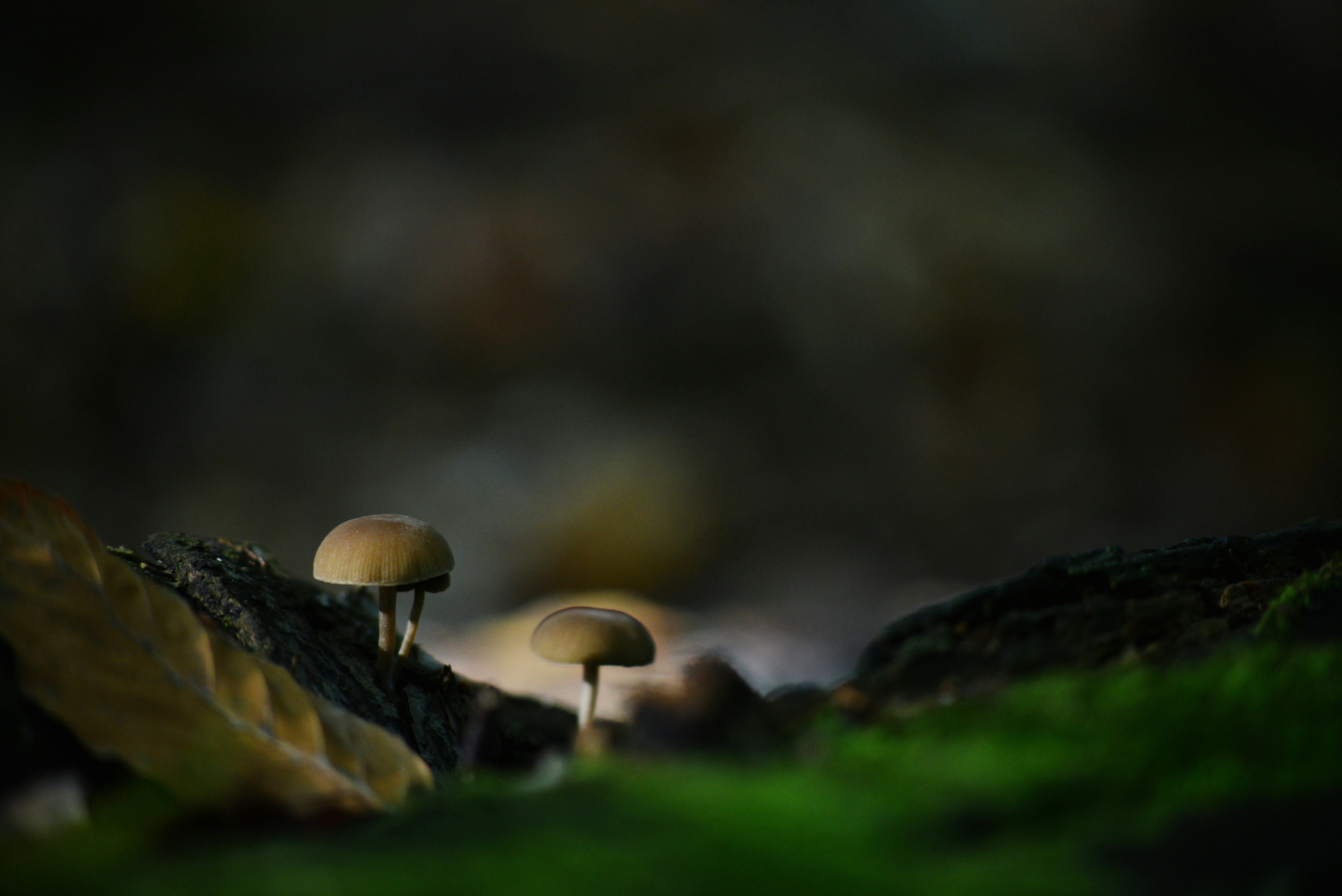 Photo by Liana S with Nikon D600