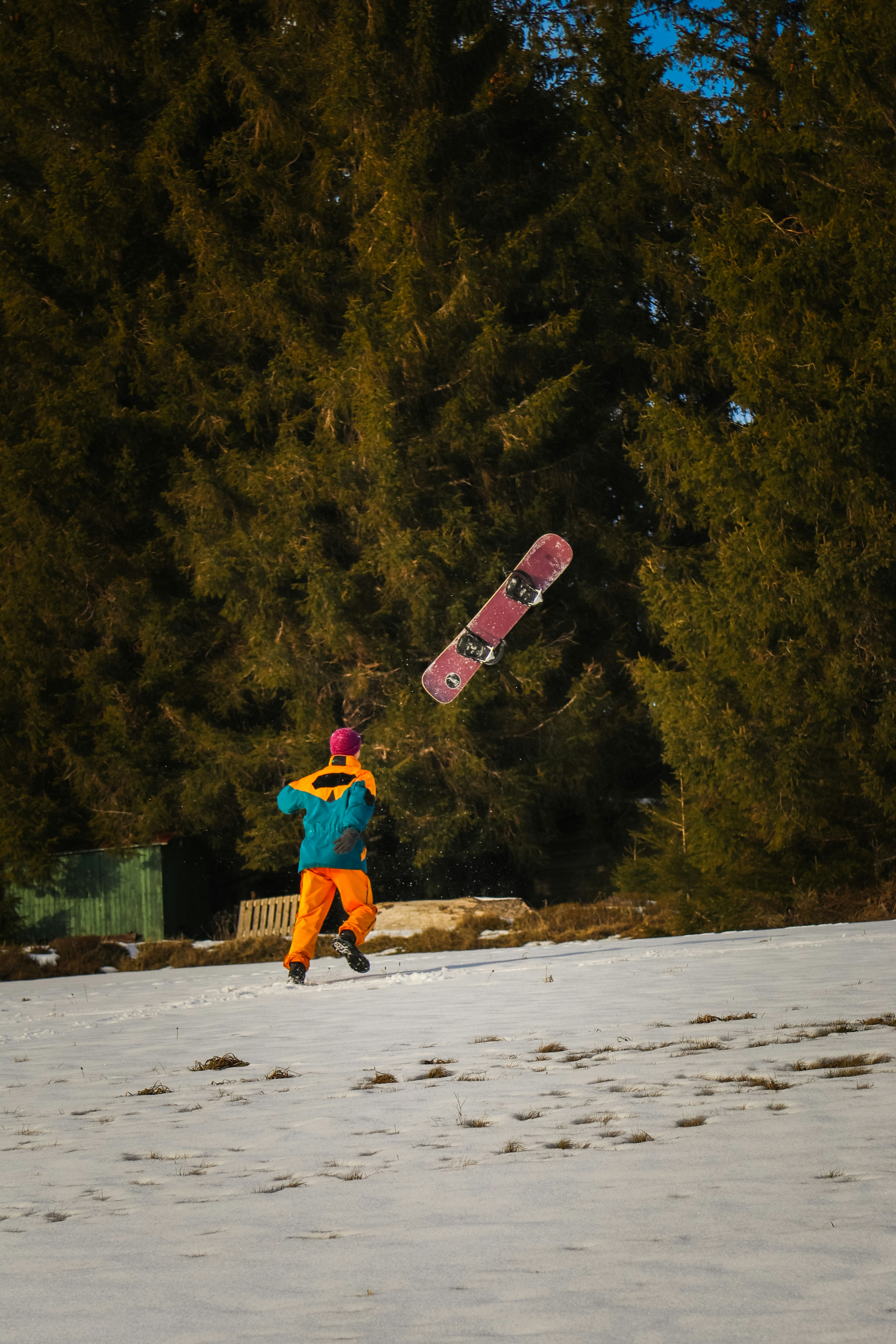 Snowboarder Launches Over a Snow-Covered Clearing with Pines in the Background