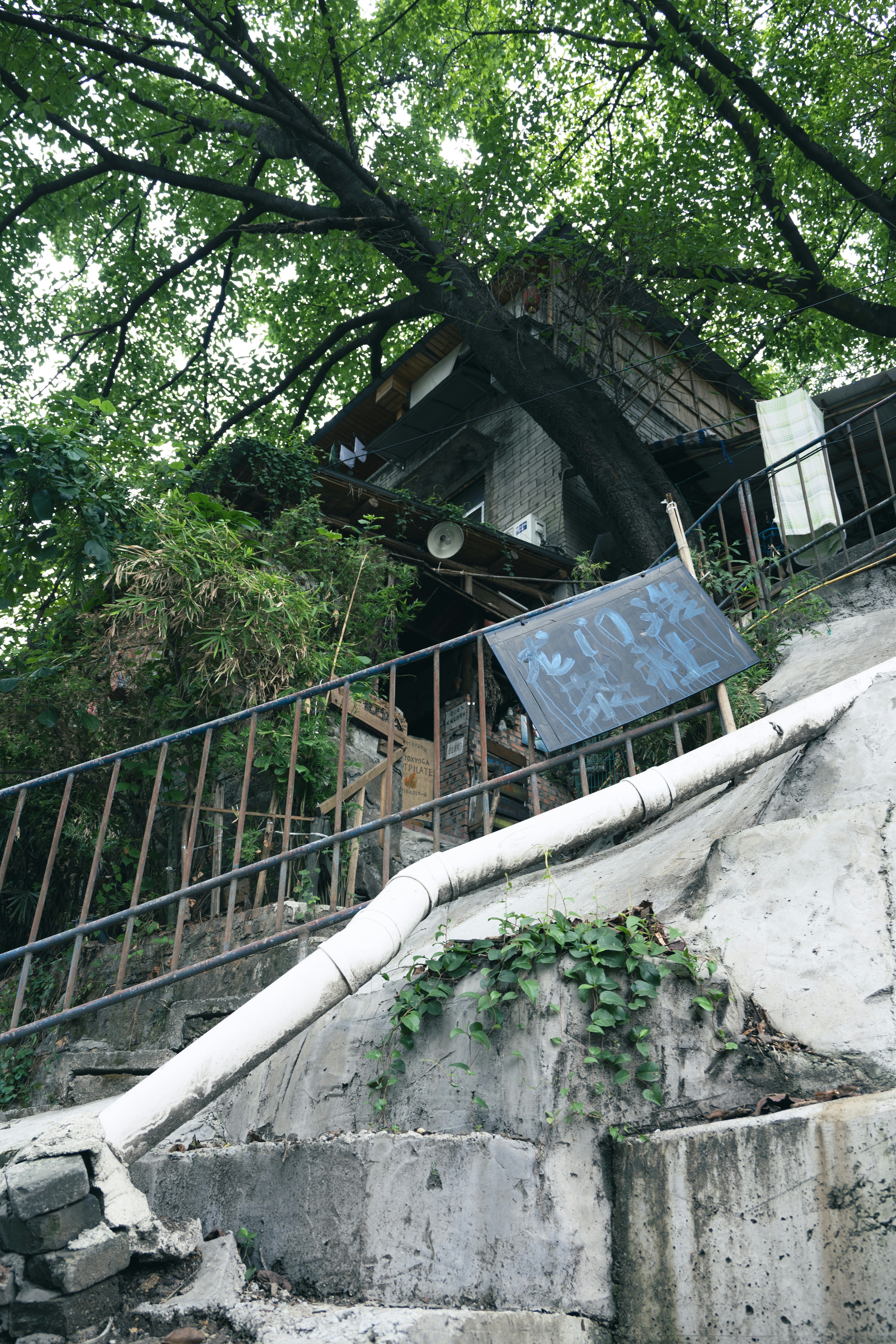 Hillside Haven: A weathered stairway leads to a tree-shadowed home