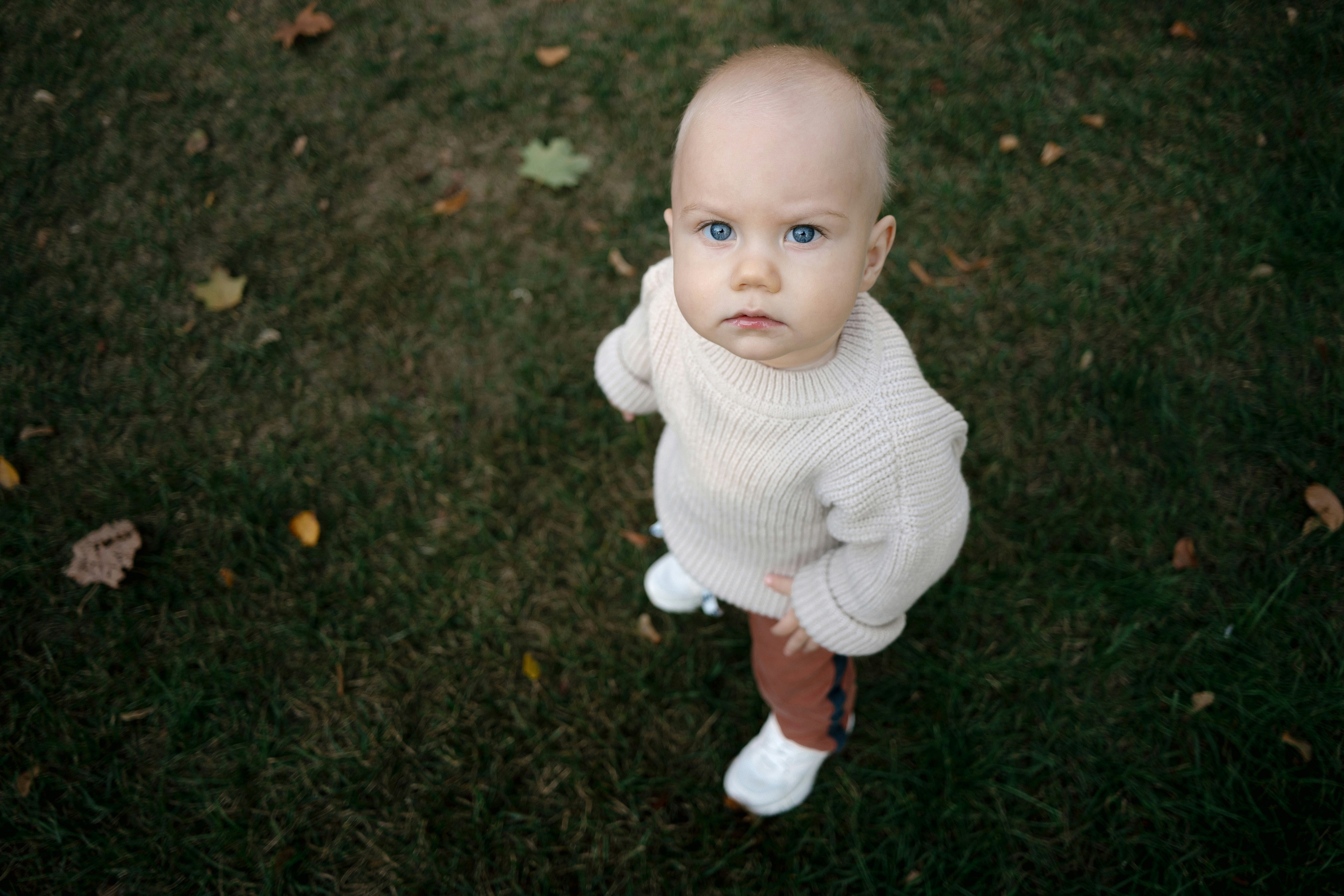 Photo by Elizabeth Smirnova with Nikon Zf