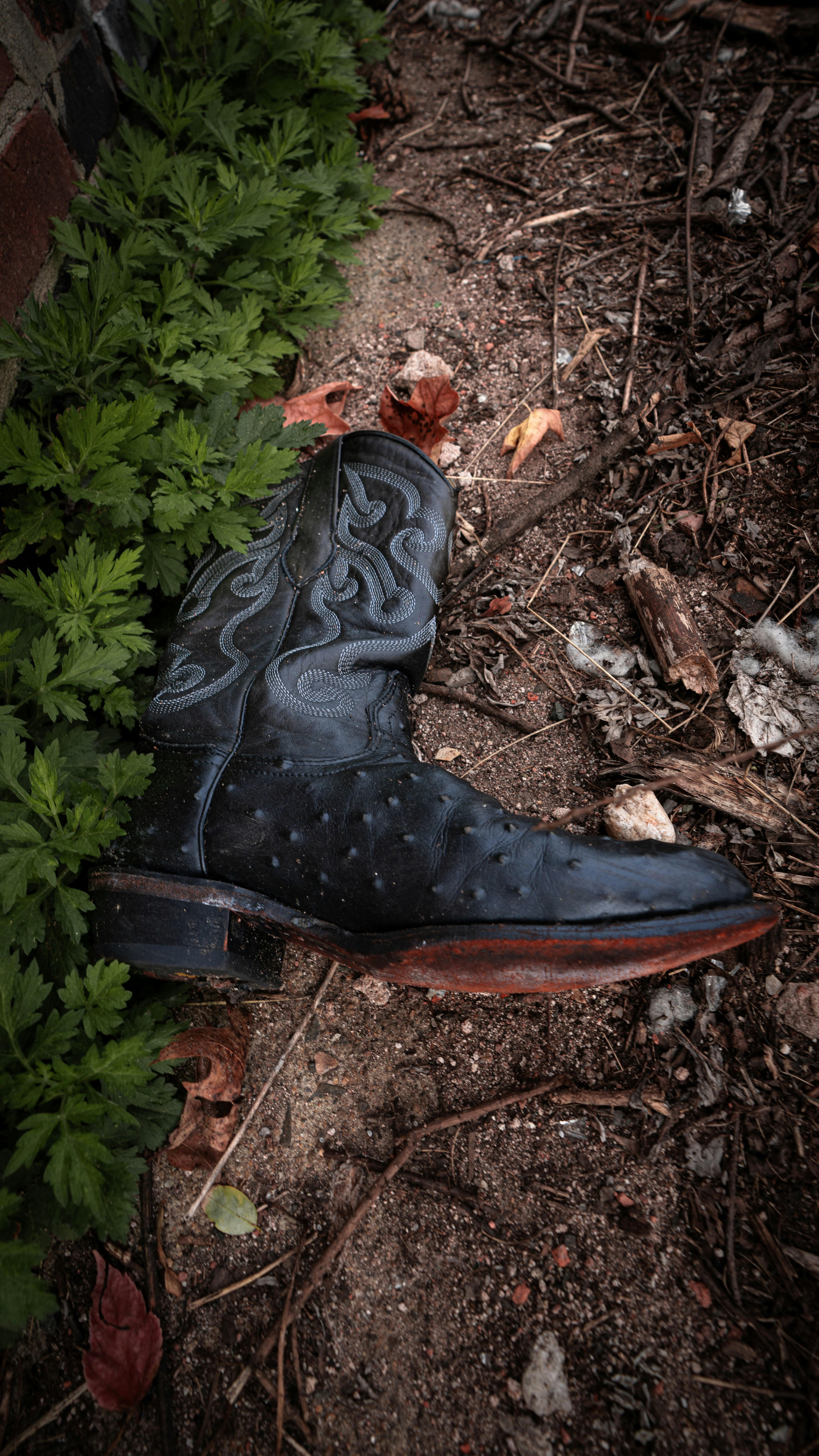 Weathered Black Cowboy Boot Resting Along a Fern-Trimmed Dirt Path