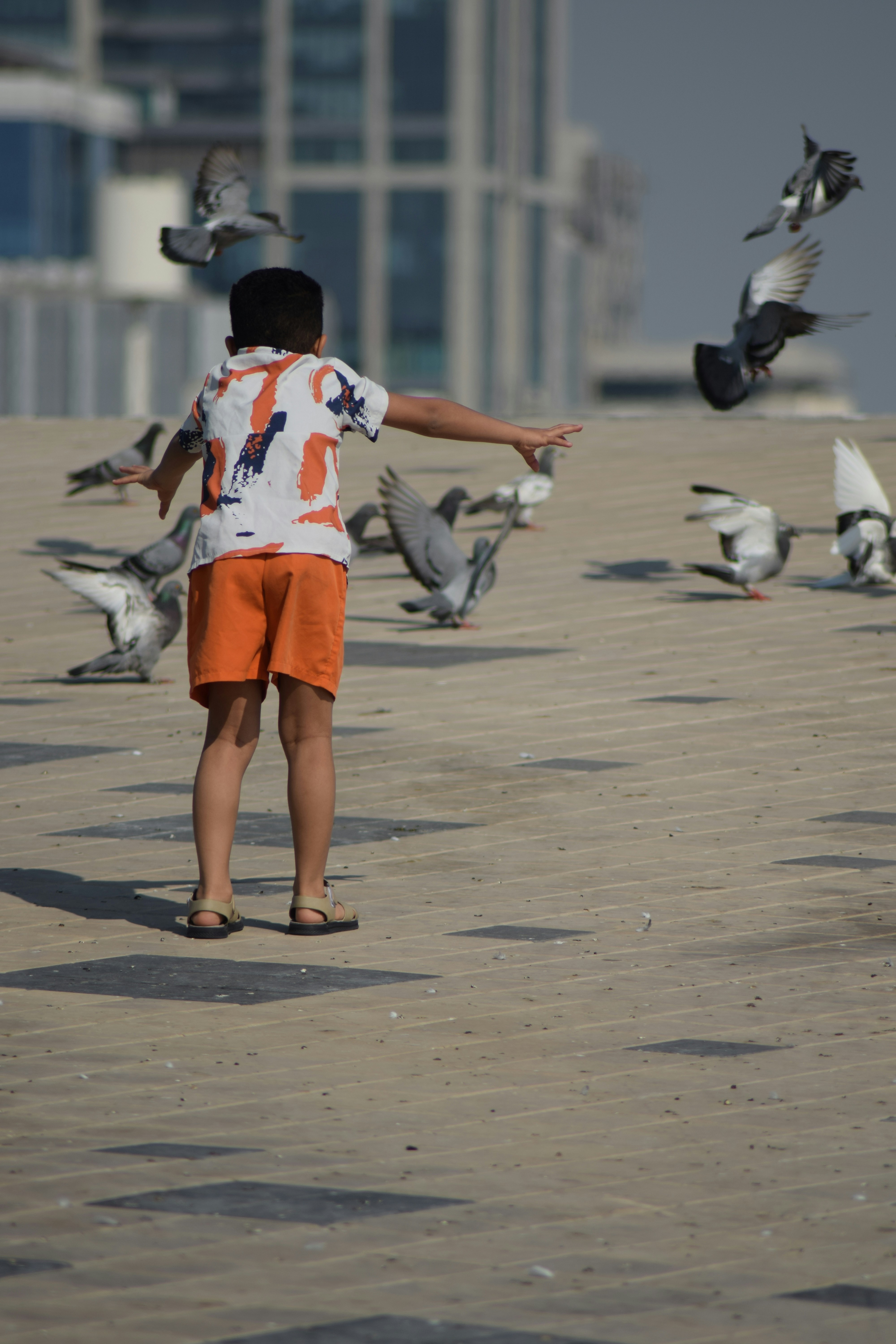 Boy in orange shorts facing a flock of pigeons on a sunlit plaza