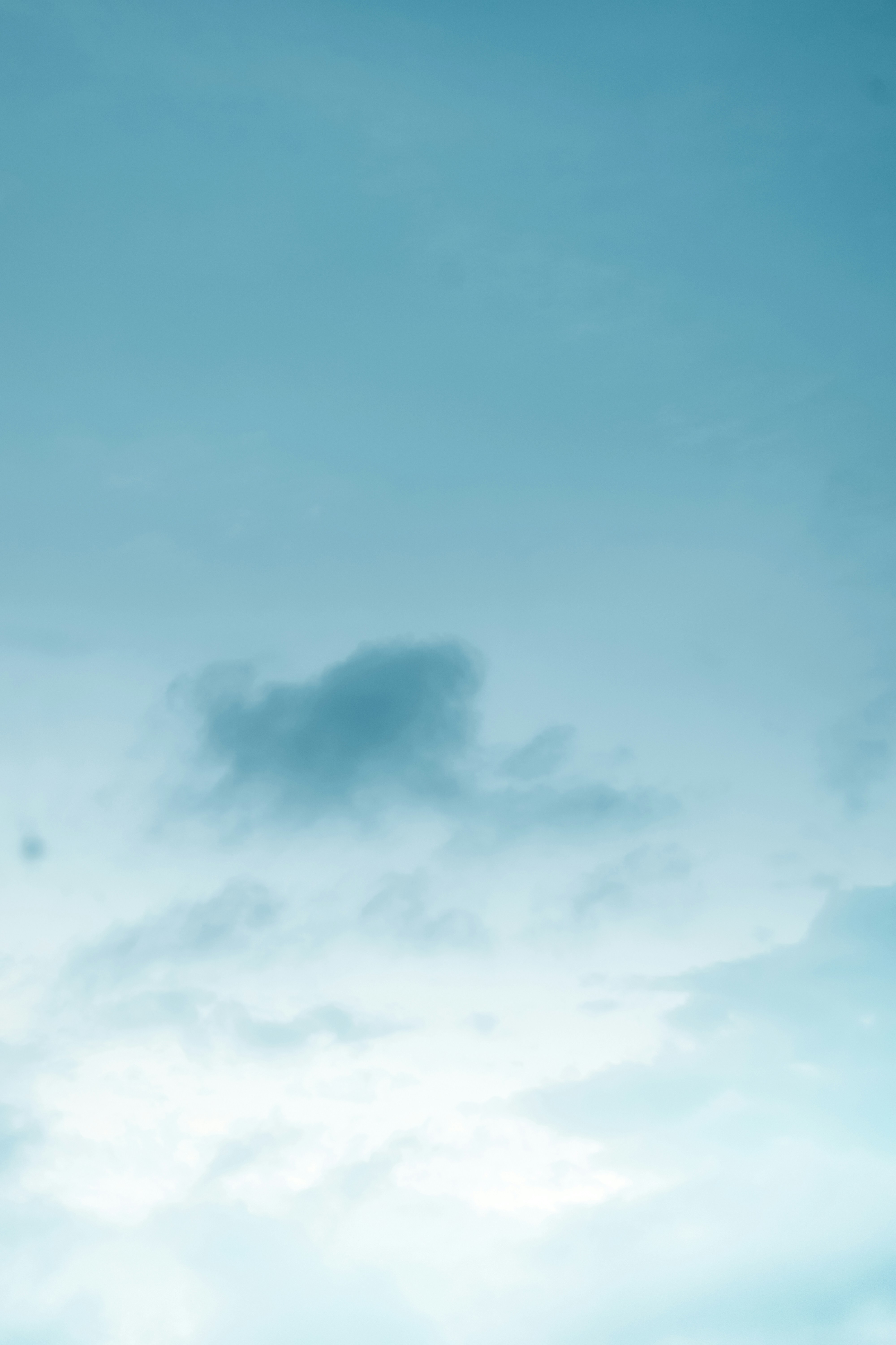 Photo by Farsana Manaf with Nikon D3400