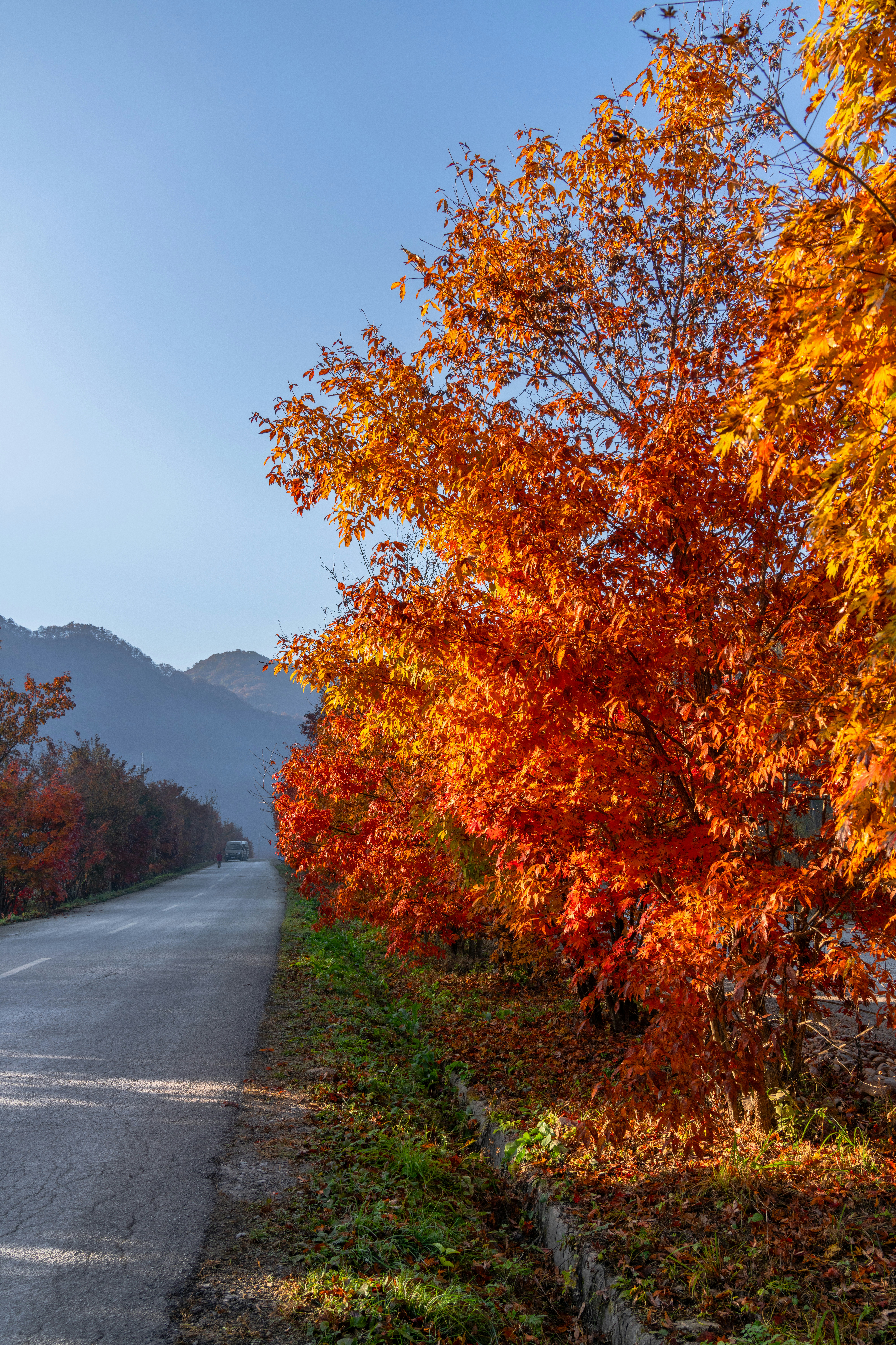 Autumn trees with vivid orange leaves frame a quiet roadside under a clear blue sky; distant mountains rise on the left. This landscape photograph highlights seasonal color along the roadway.
