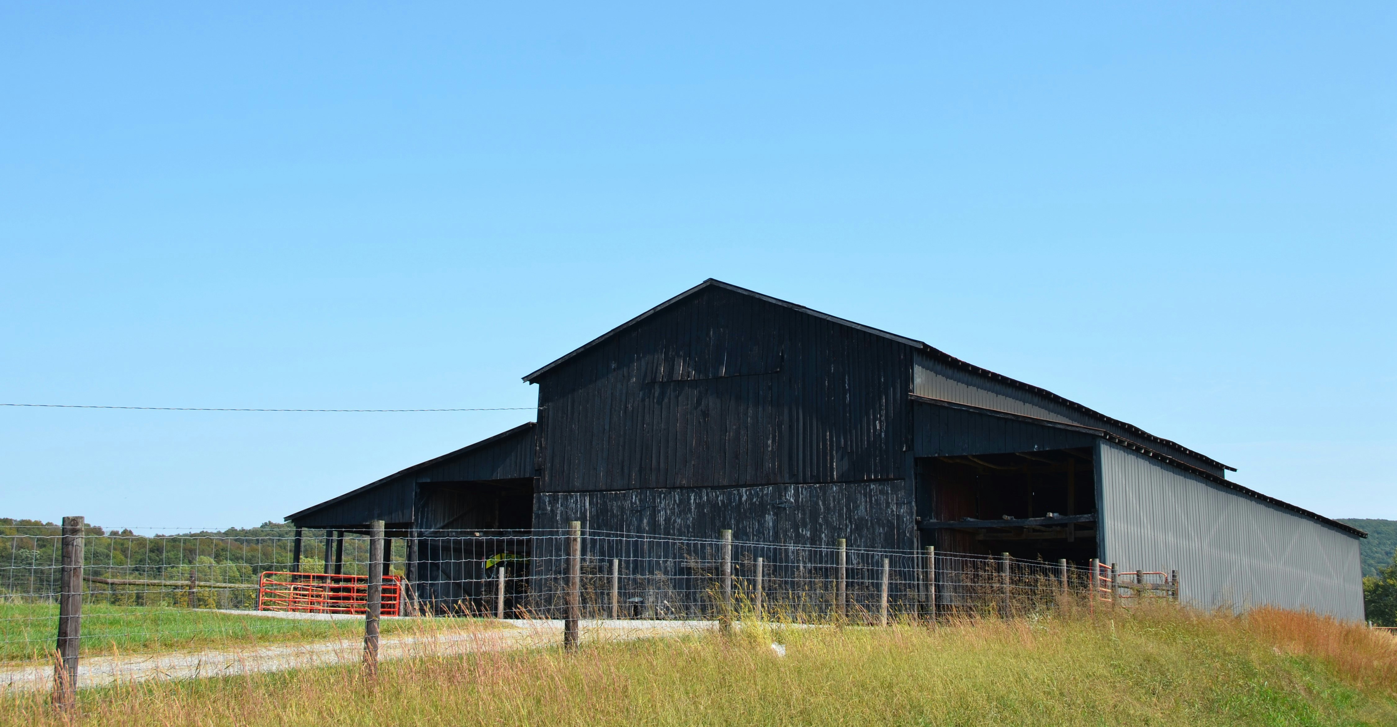 Slaughterhouse Pictures | Download Free Images on Unsplash