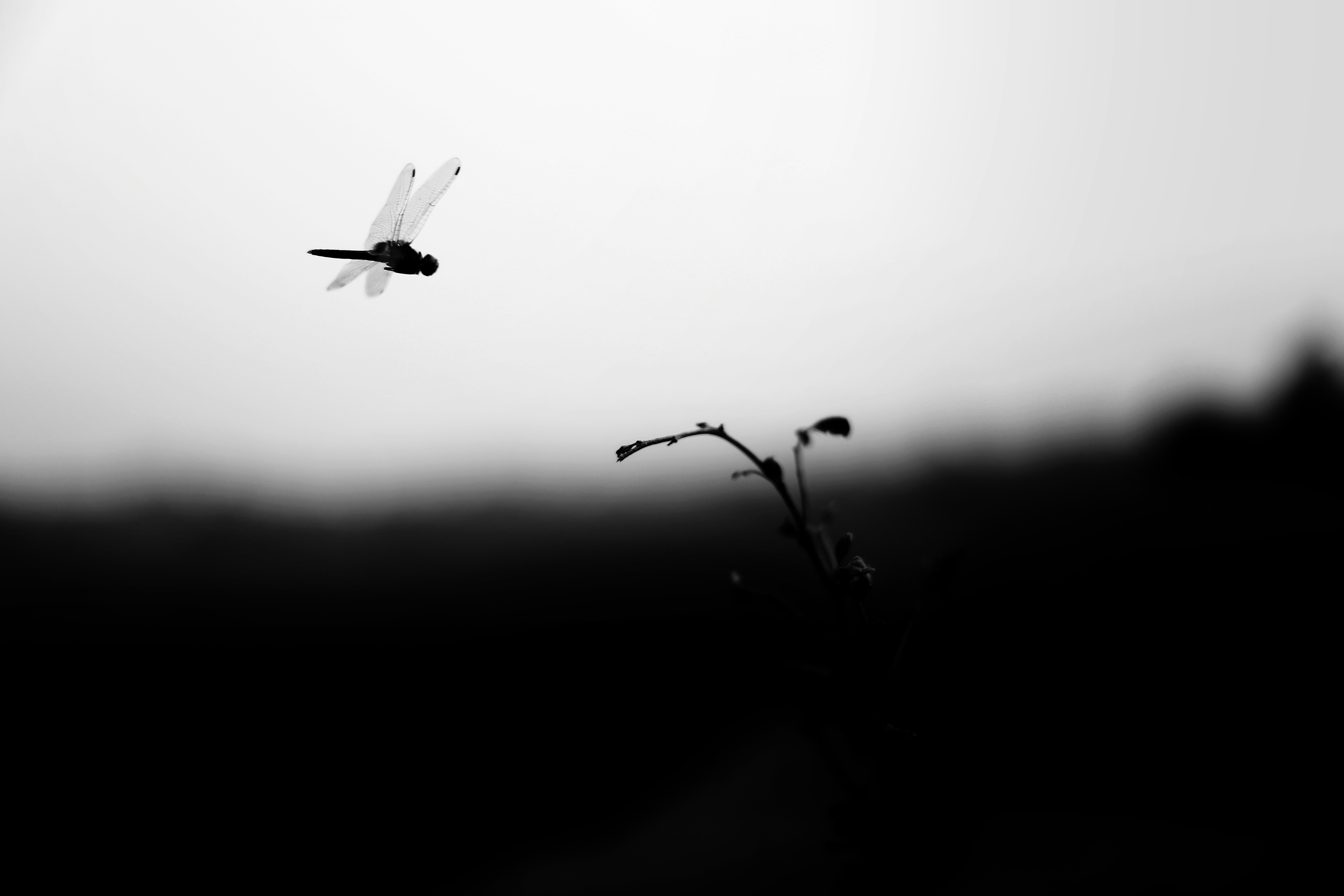 Glide slope captured..