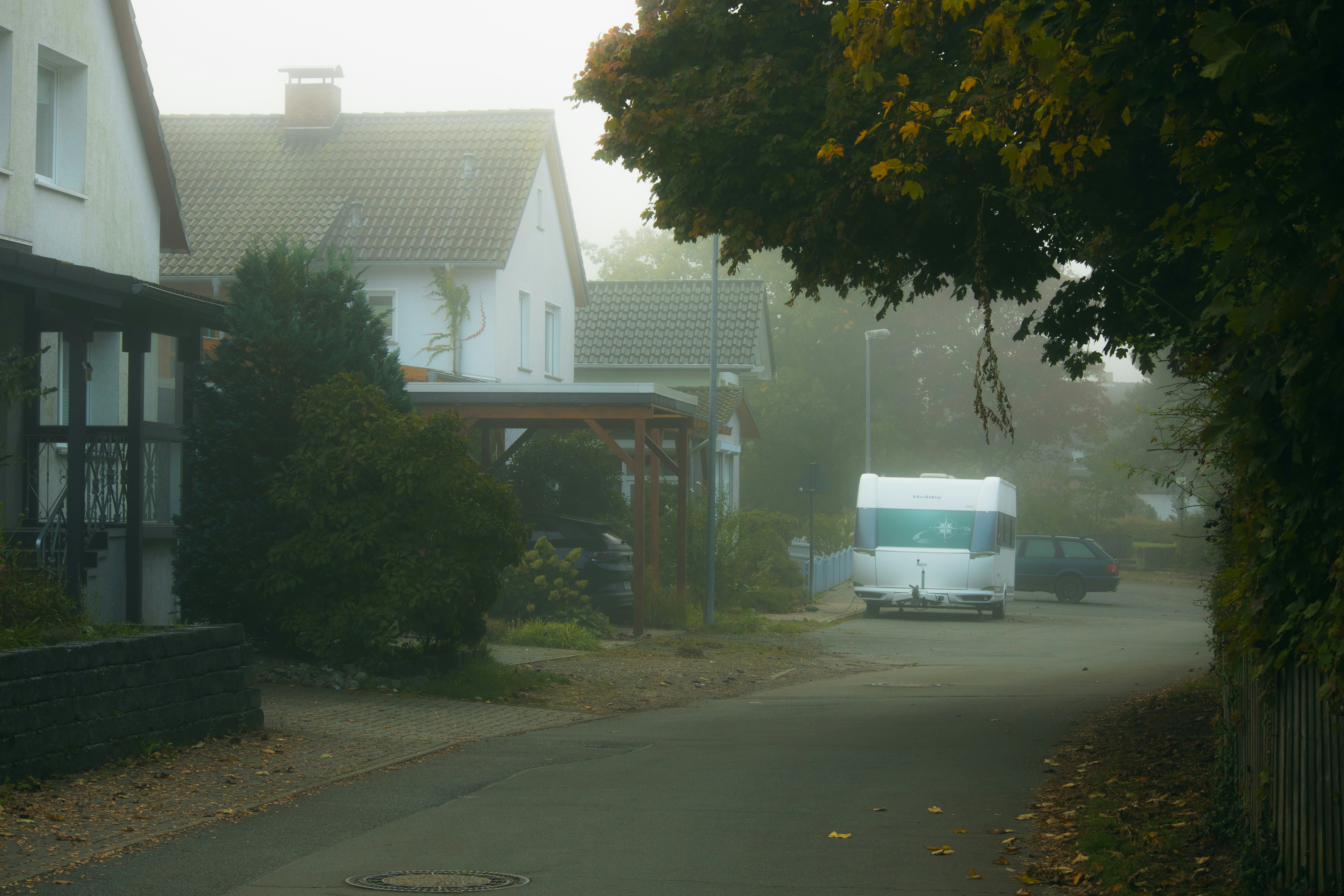 Fog-Wedged Cul-de-Sac: A Silent Caravan at the Street's End