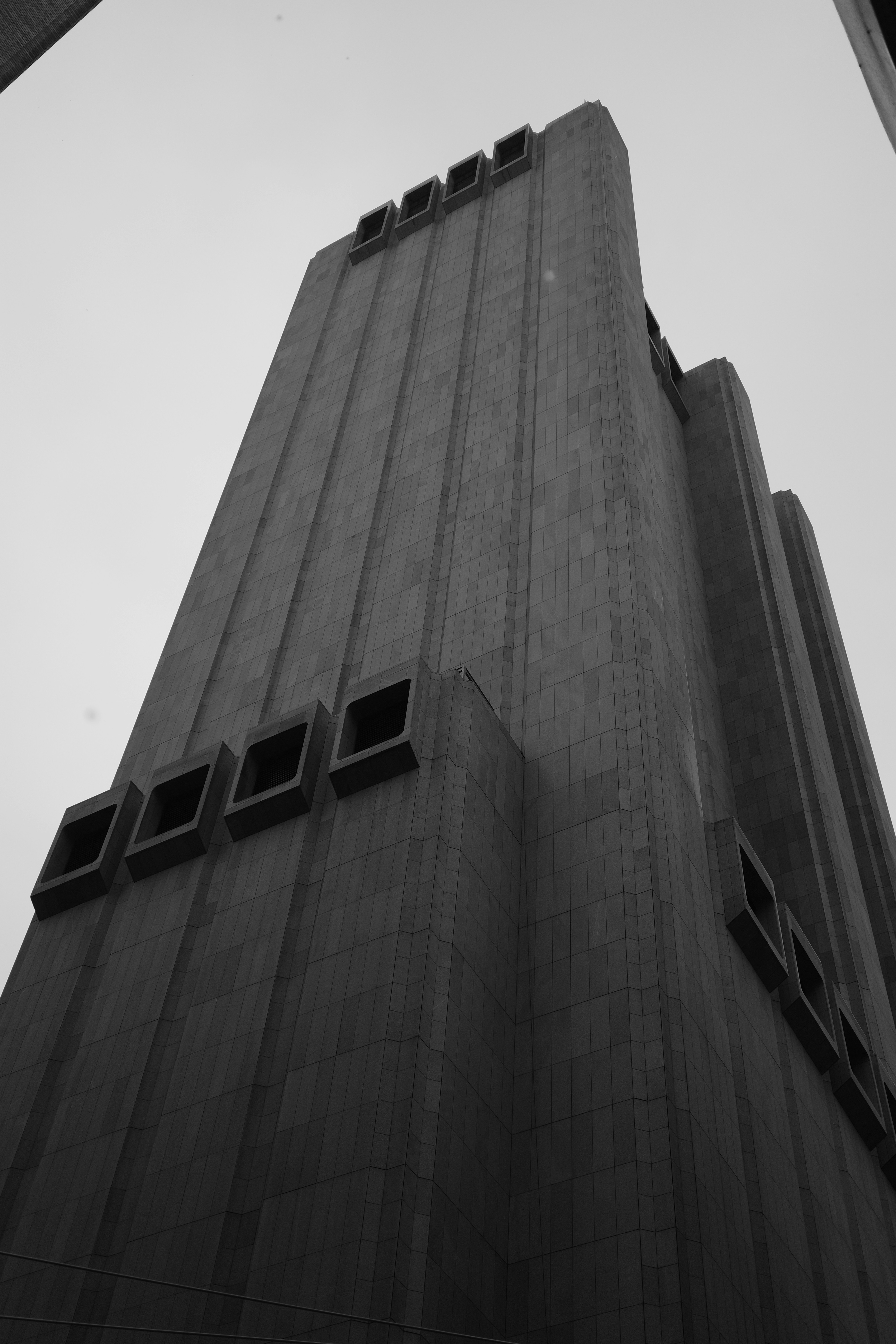 Vertical Ascent: The Monolith's Gaze