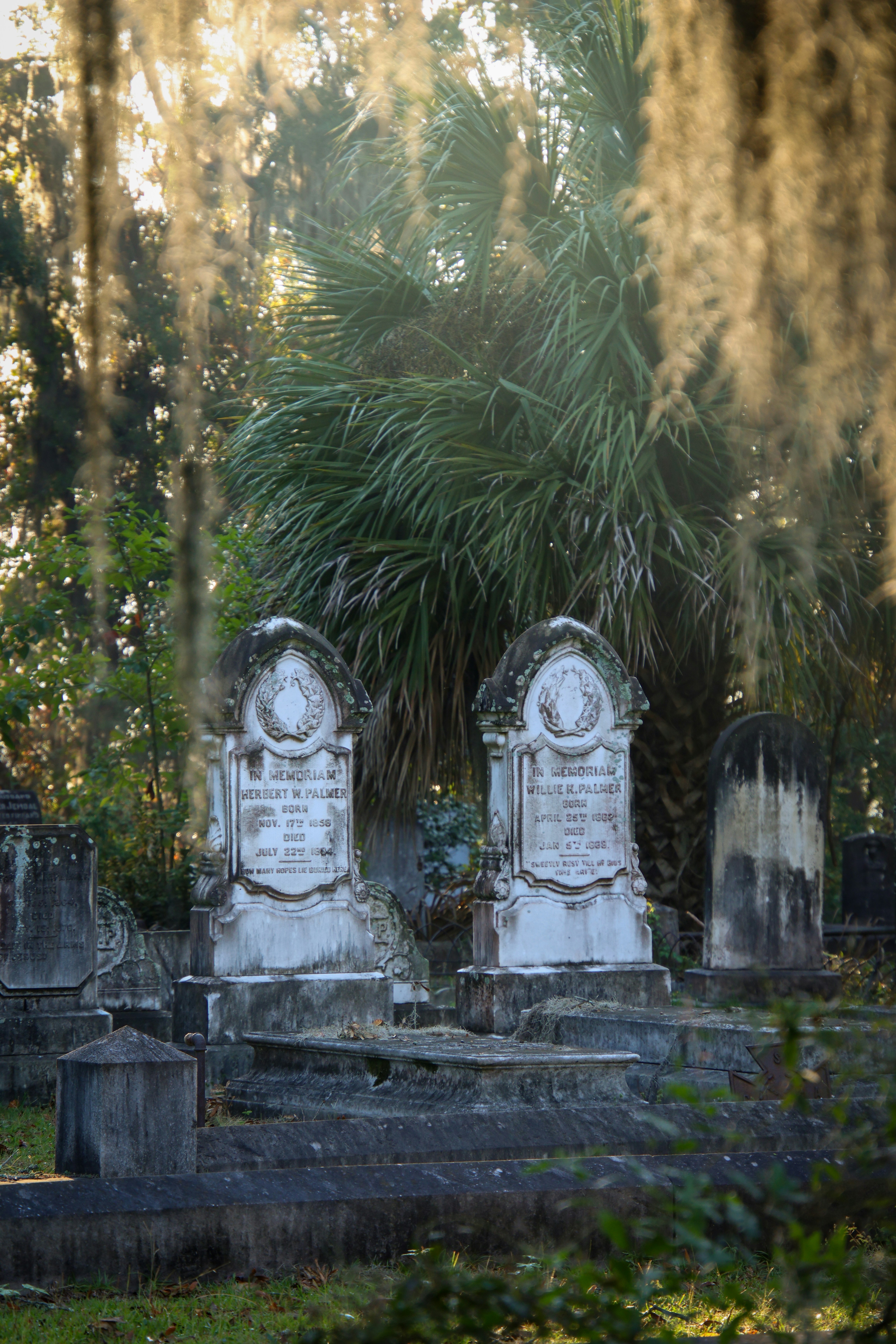 Palm Fronds and Two Weathered Tombs: a Quiet Cemetery Moment