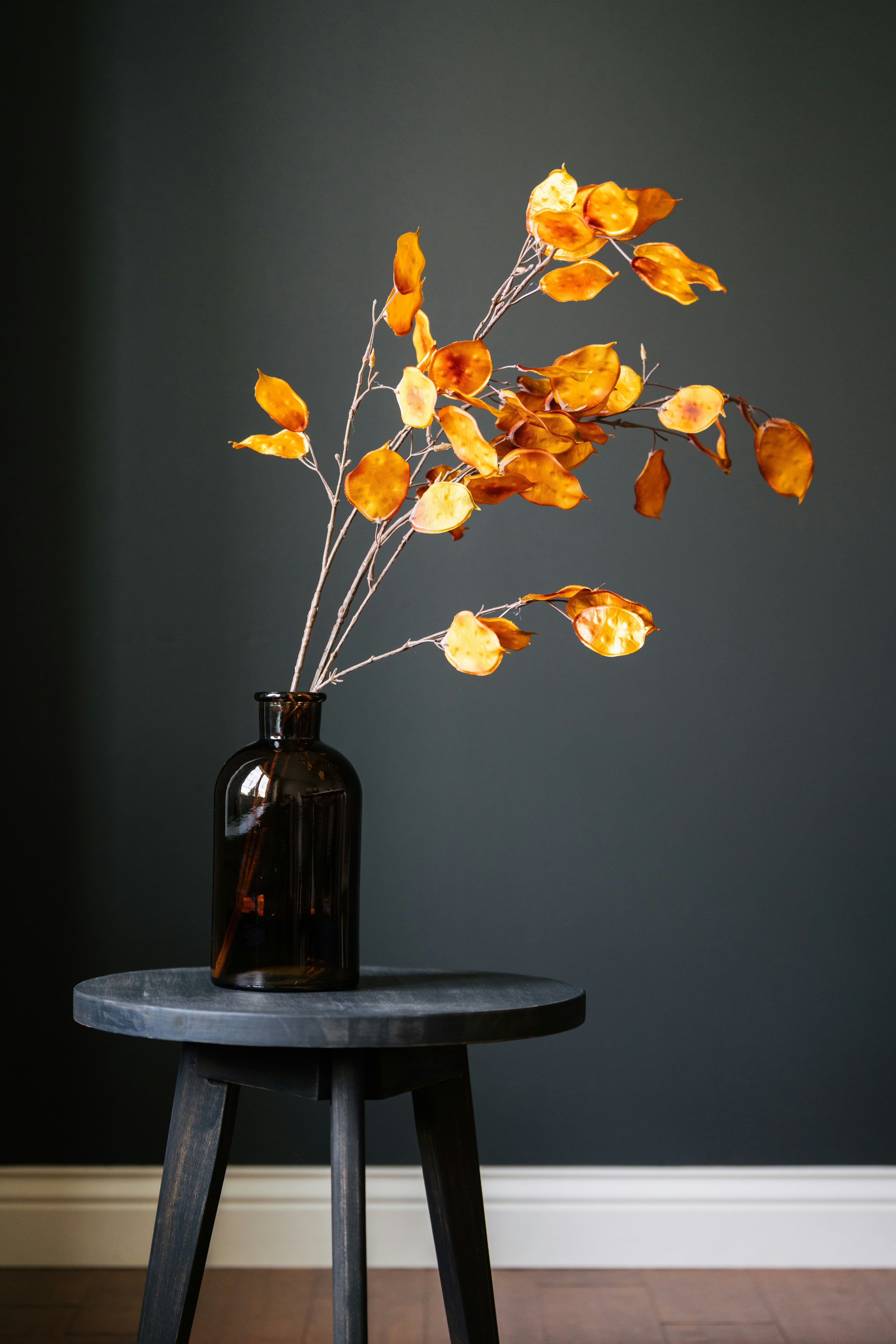 Autumn Spray in a Dark Studio: A Glass Bottle’s Poised Branches