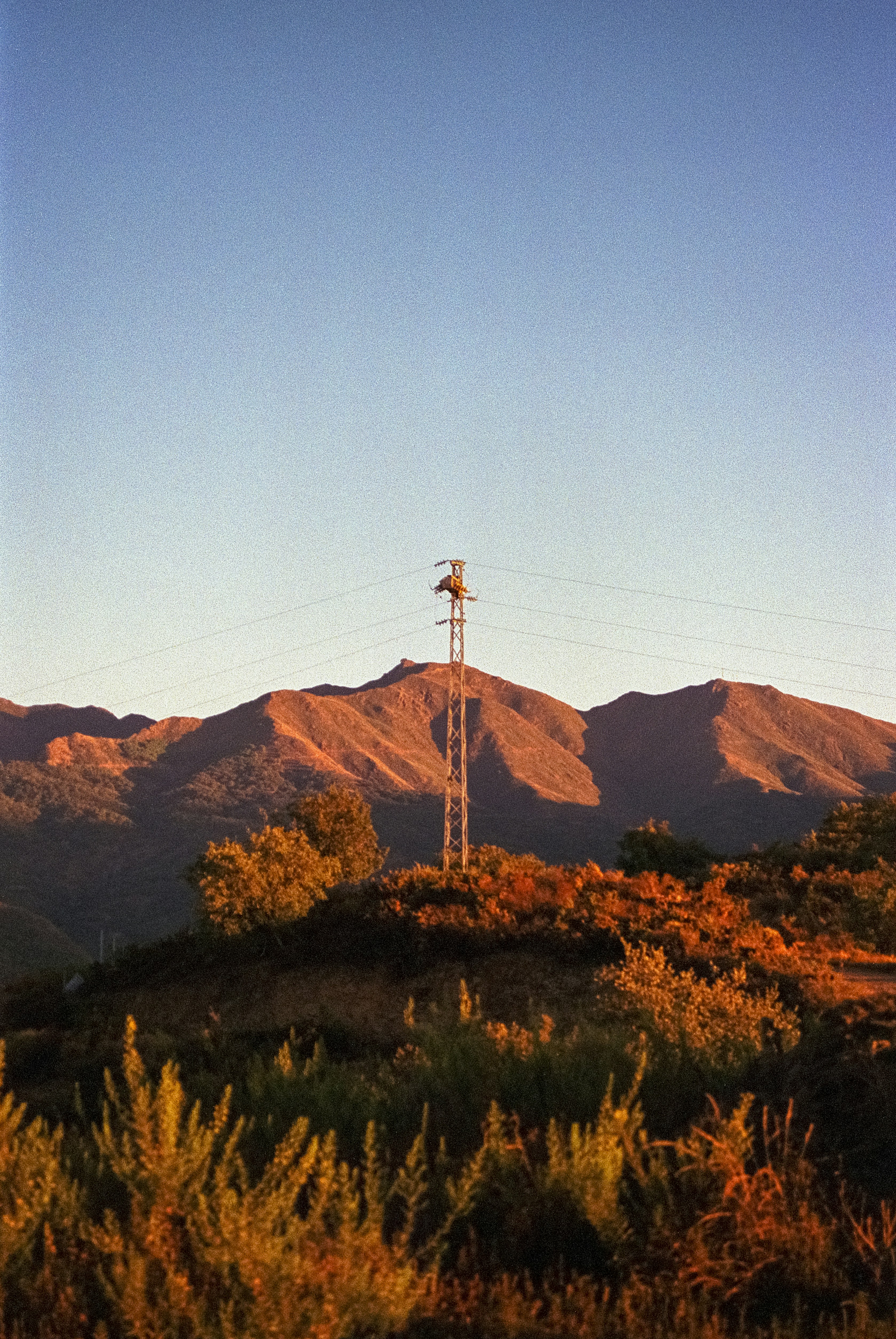 Dusk on the Ridge: A Lone Transmission Tower Against Golden Hills