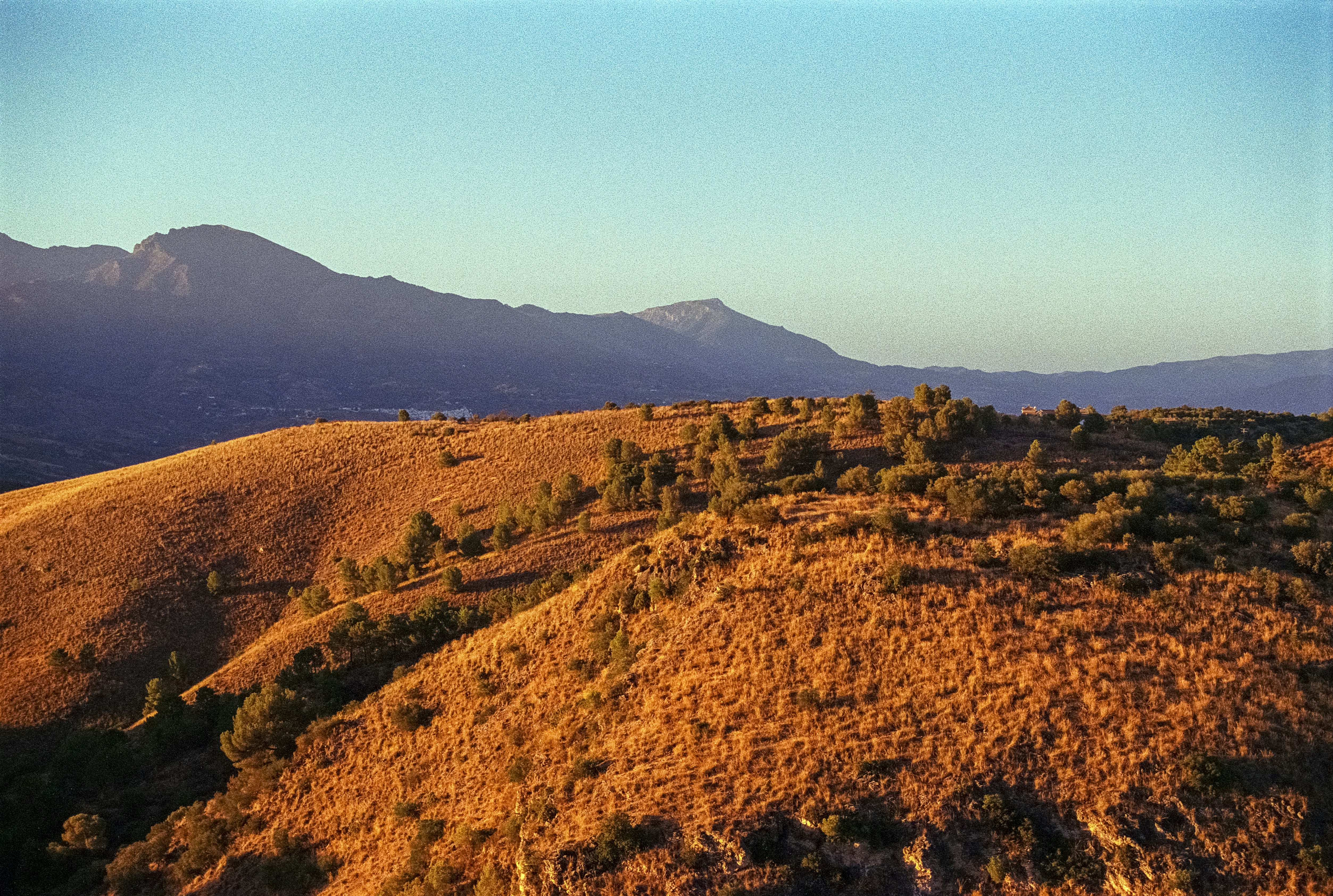 Rolling hills bathed in warm sunset light with distant mountains under a clear sky.