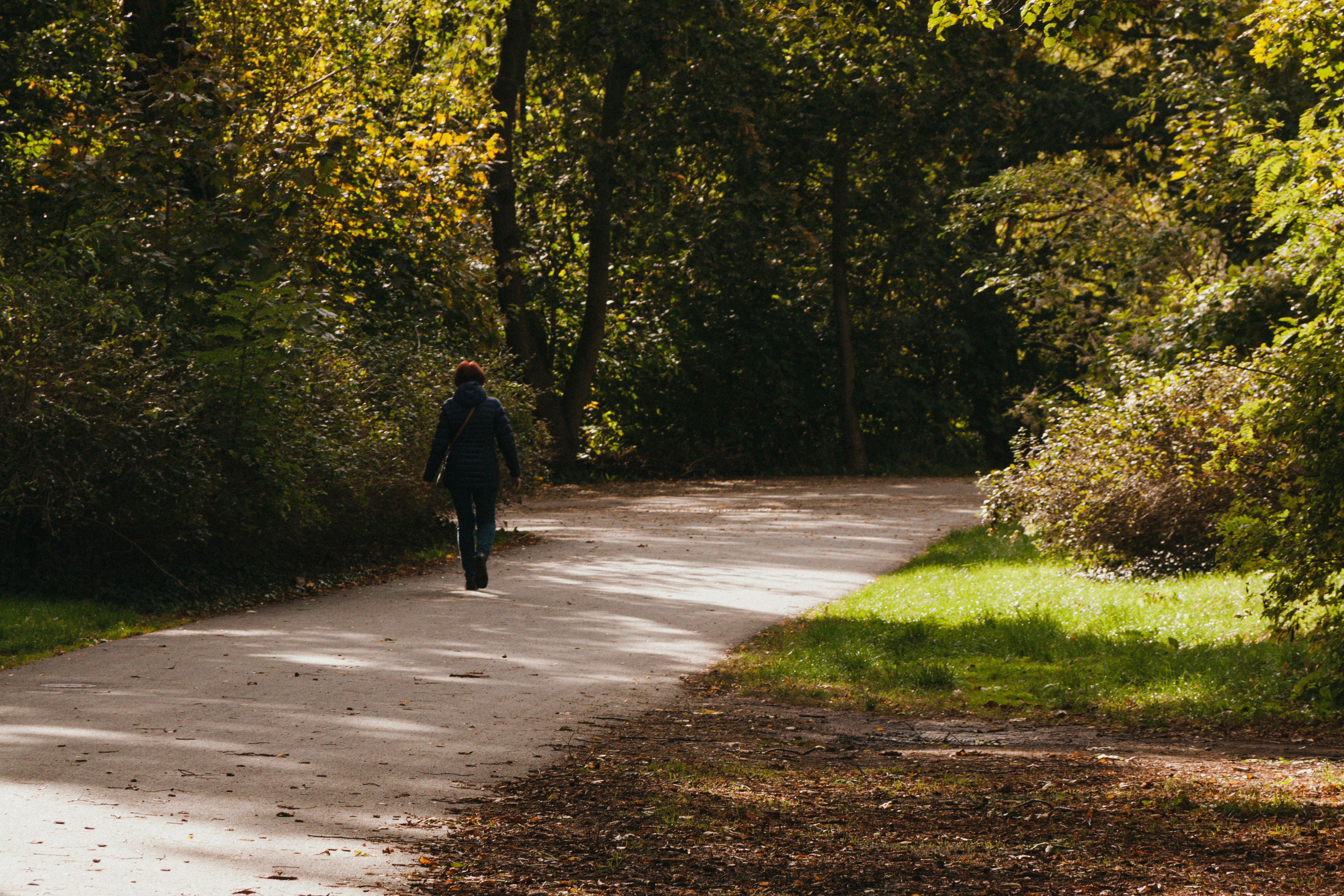 A person walking down a path in the woods photo – Free Fußgänger Image ...