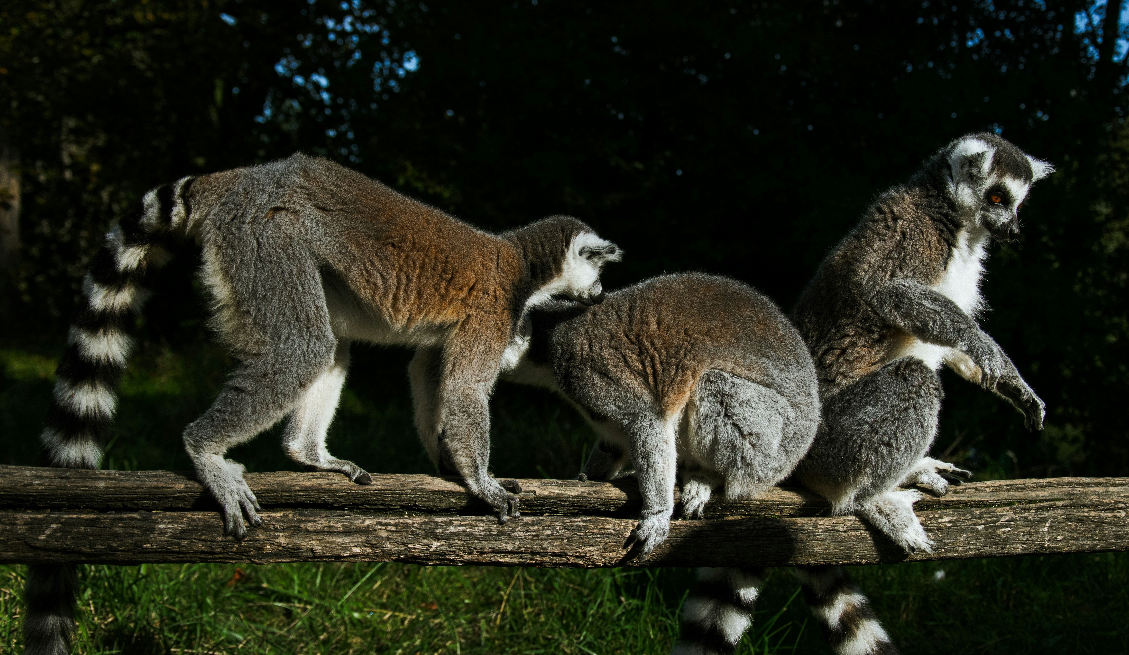 Photo by Lilian Cordier with Nikon D5300