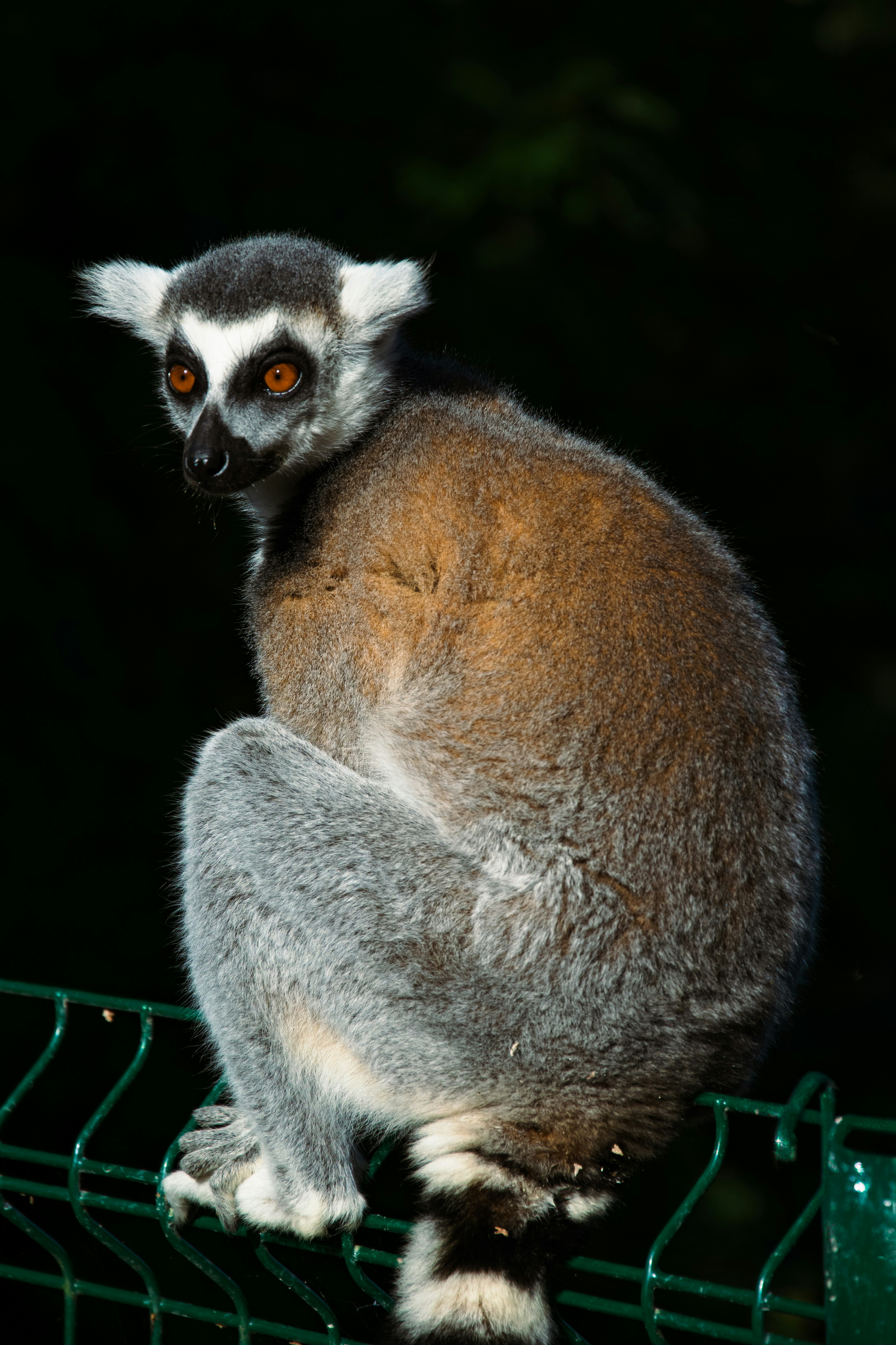 Photo by Lilian Cordier with Nikon D5300