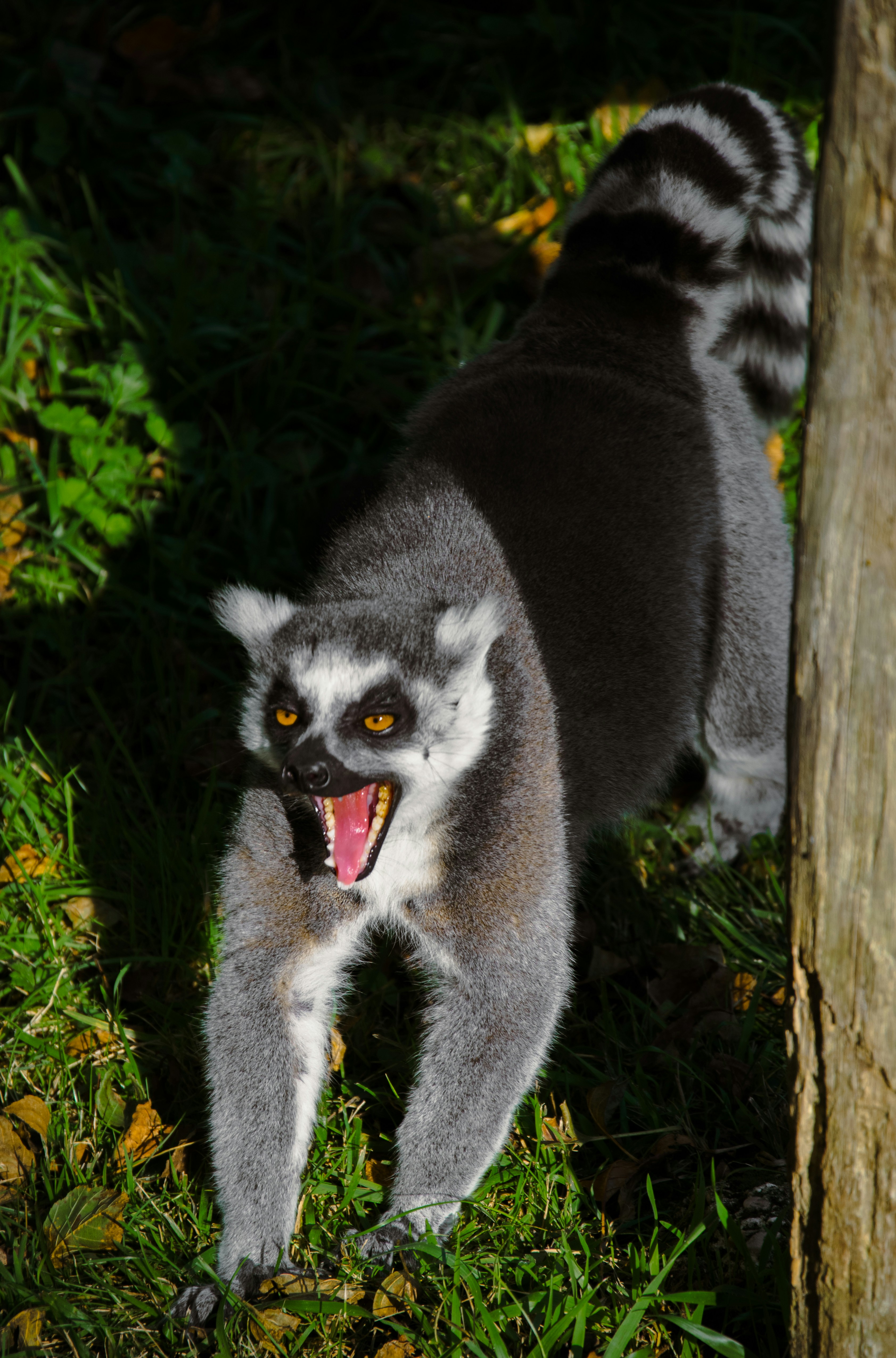 Photo by Lilian Cordier with Nikon D5300