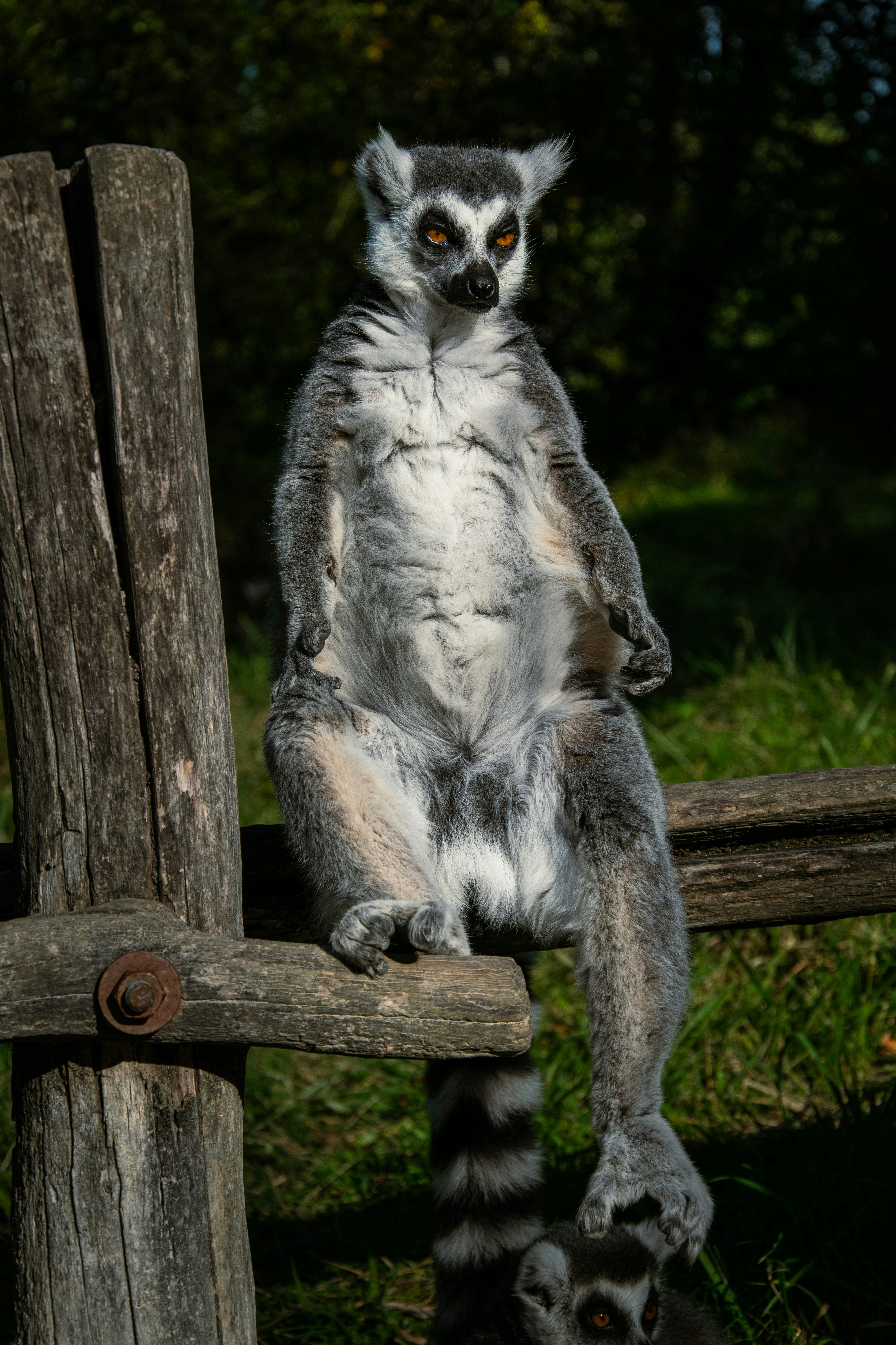 Photo by Lilian Cordier with Nikon D5300