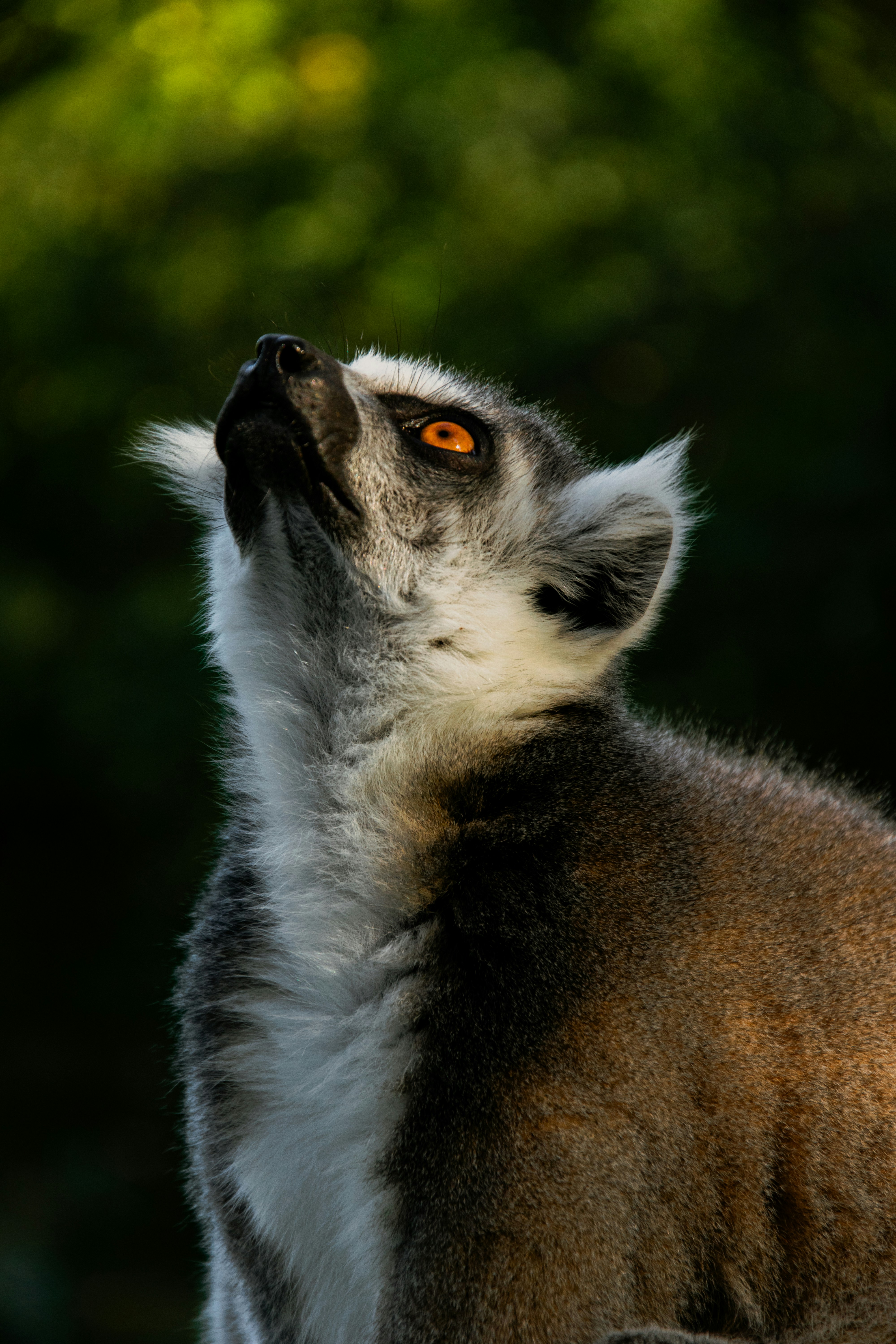 Photo by Lilian Cordier with Nikon D5300