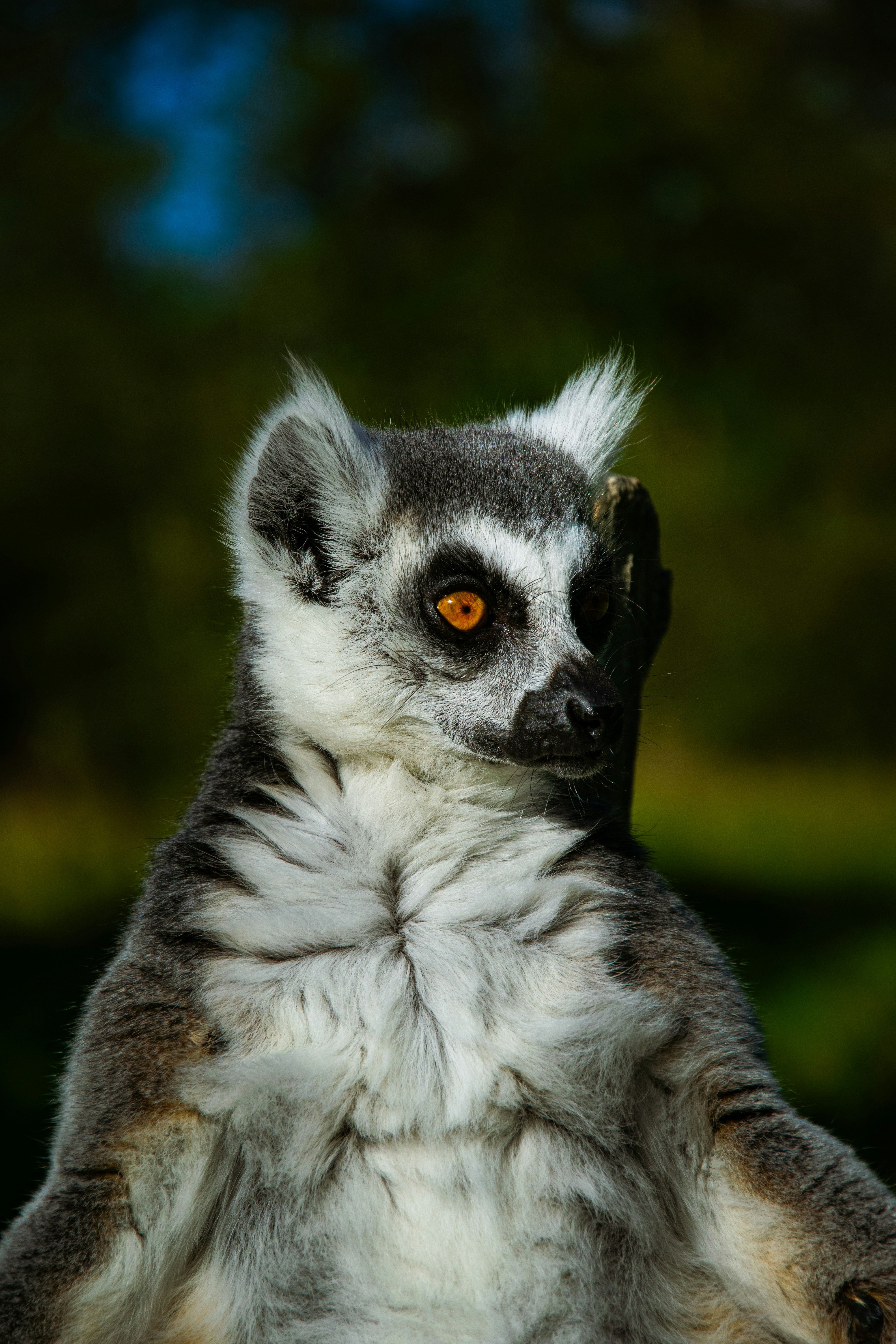 Photo by Lilian Cordier with Nikon D5300