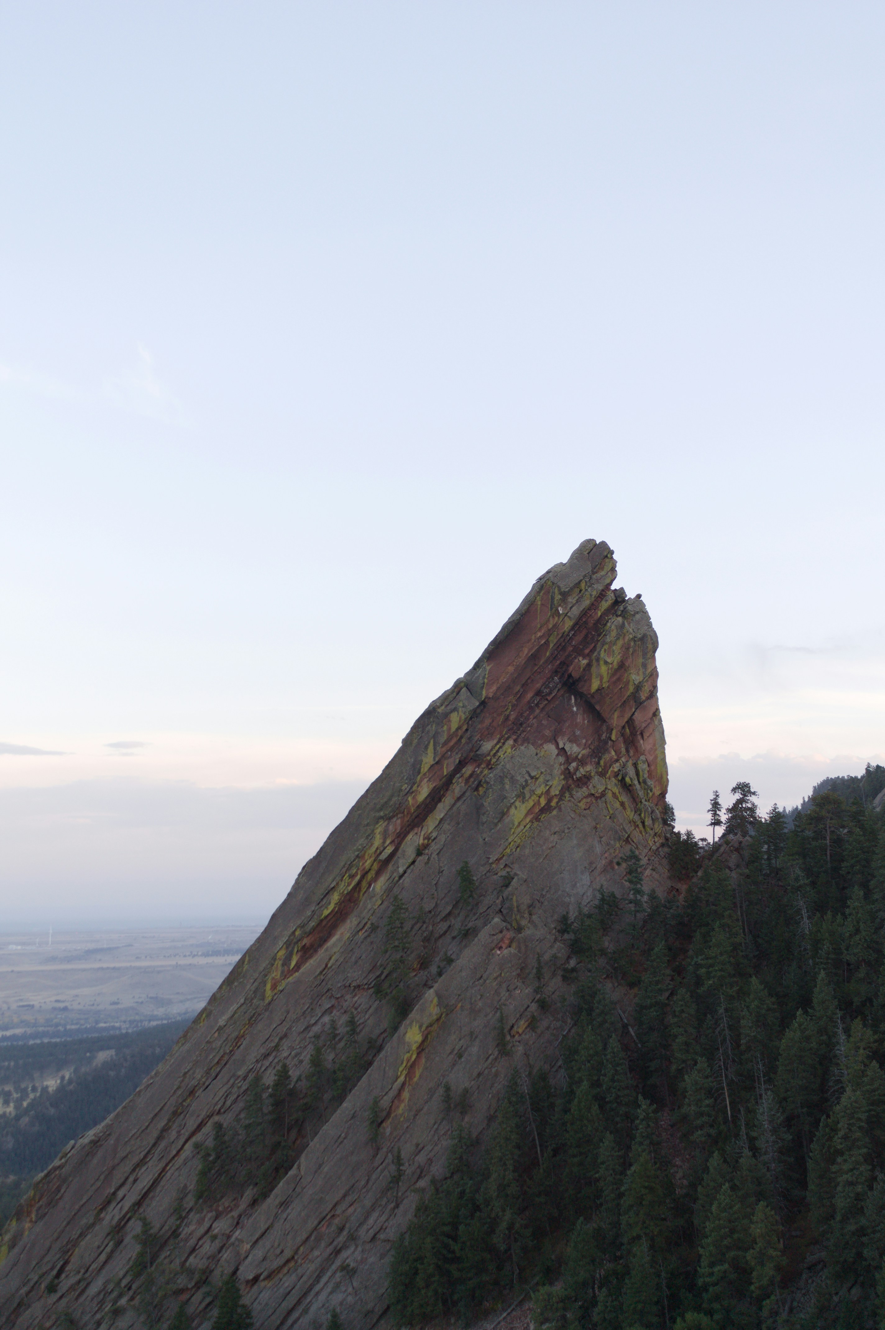 A man standing on top of a mountain next to a forest