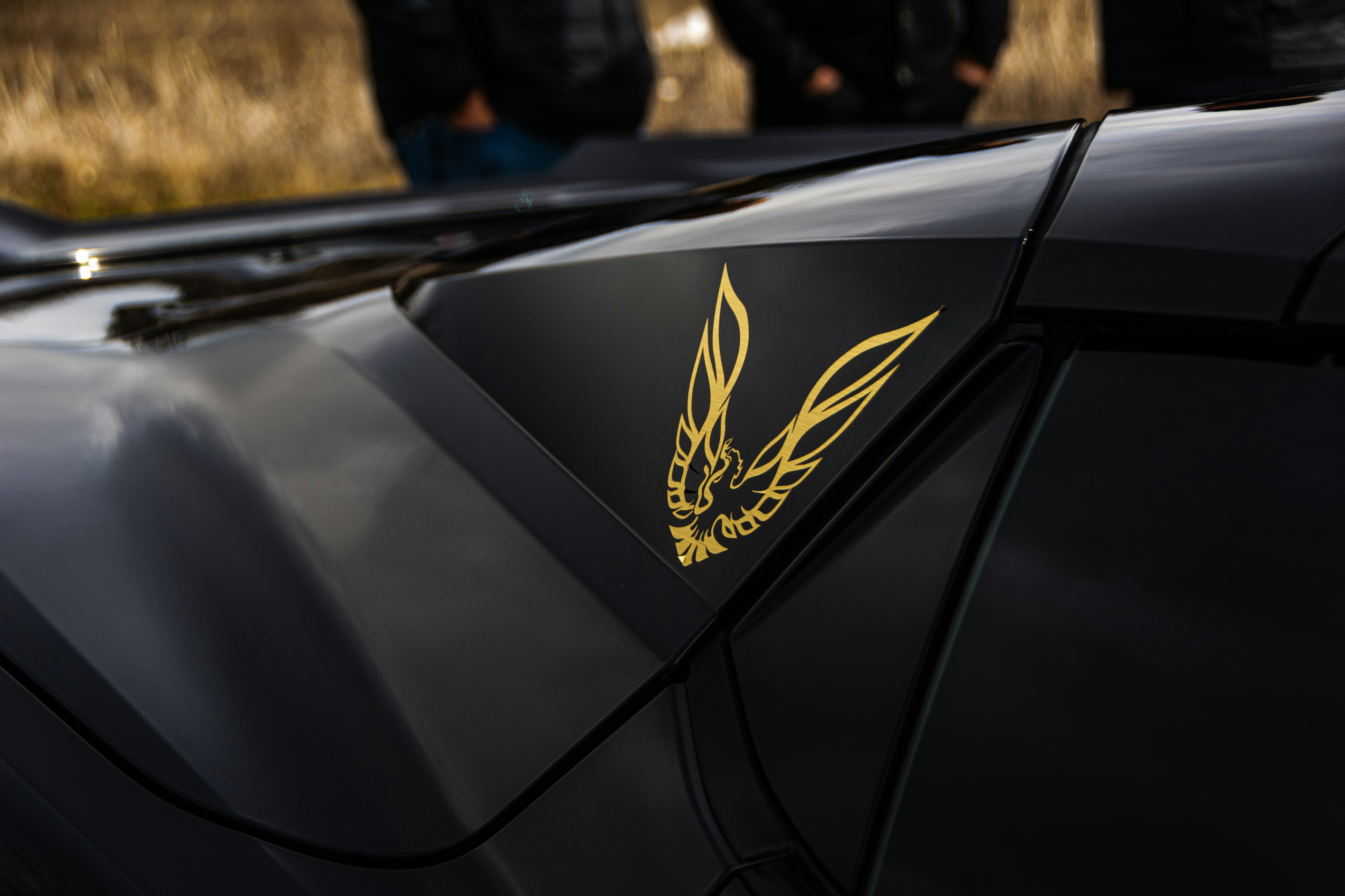 Gold Firebird Emblem on a Noir Sports Coupé