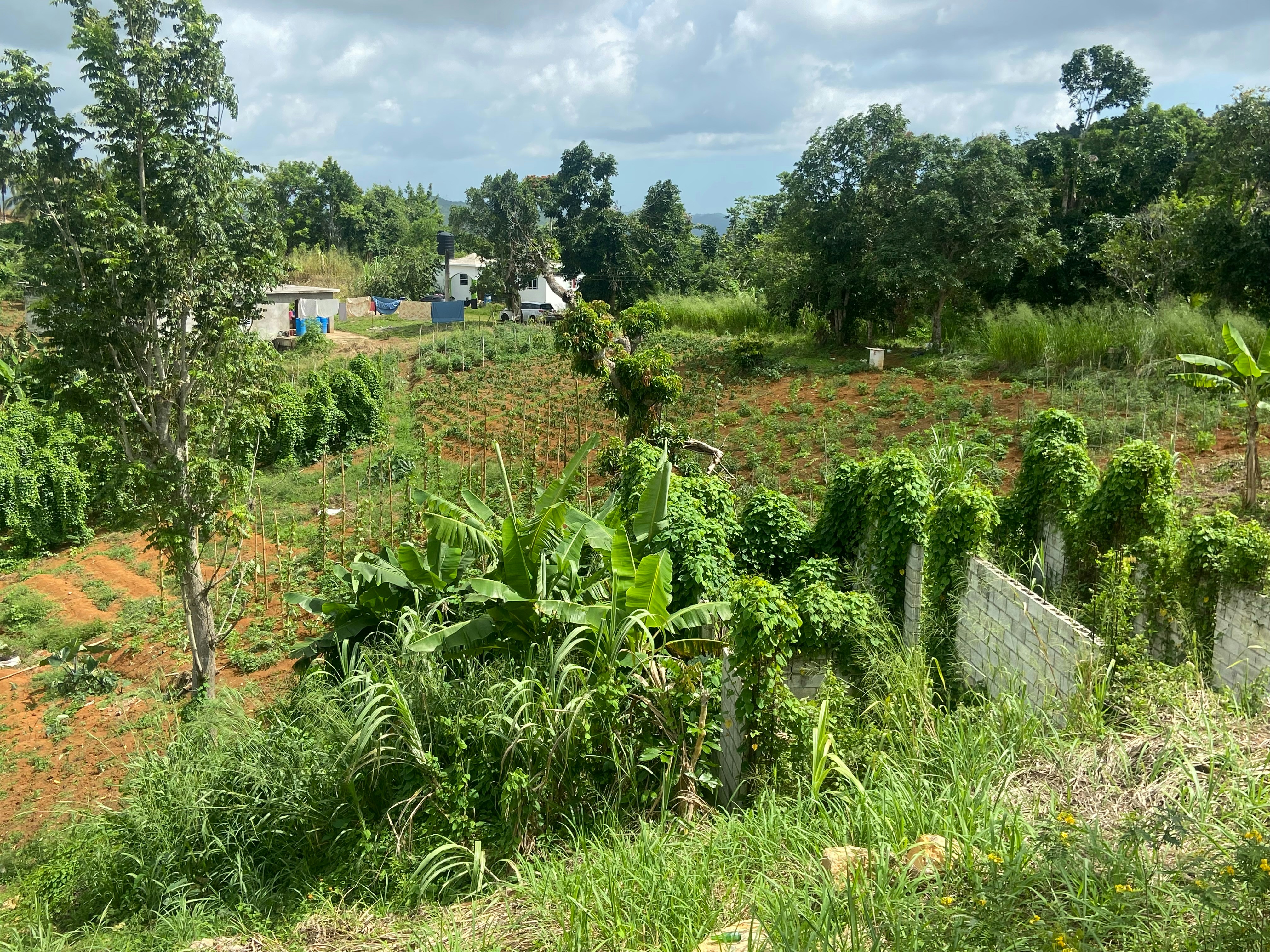 St Aubyn (@staubyn) | Unsplash Photo Community