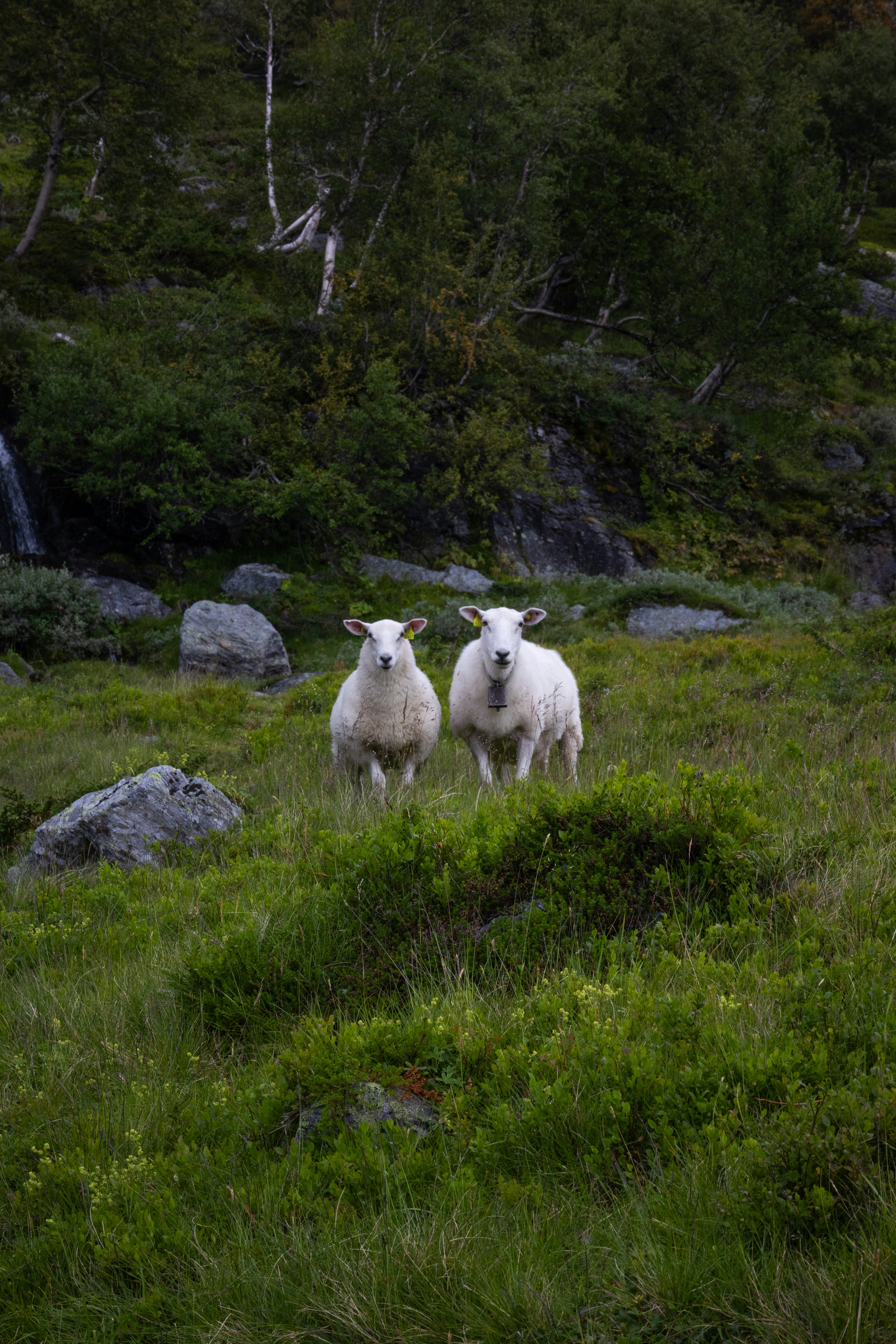 Photo by Nacho Gimeno Guerrero with Canon EOS R6