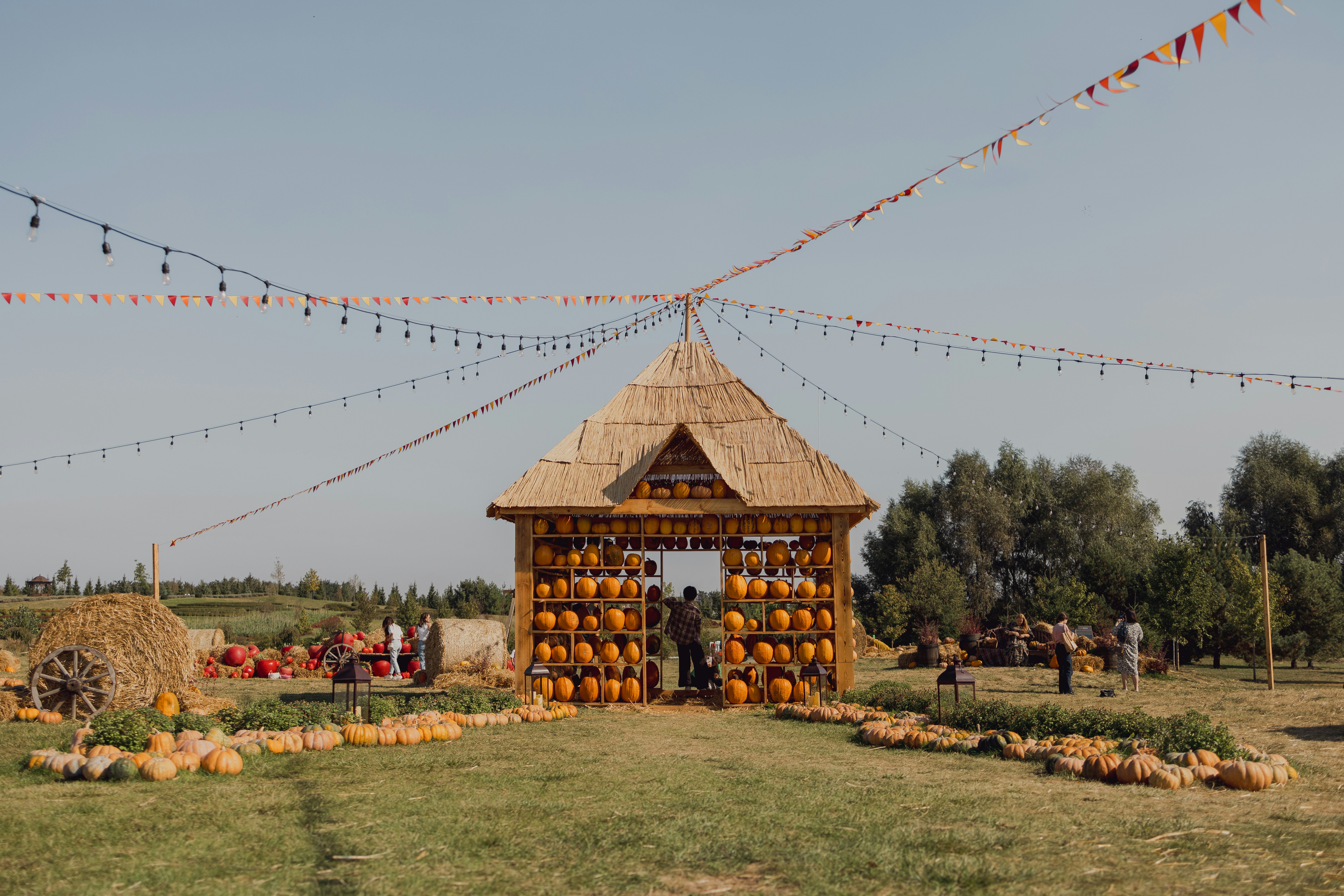 Pumpkin Pavilion at Harvest Light: A Cozy Farm Moment