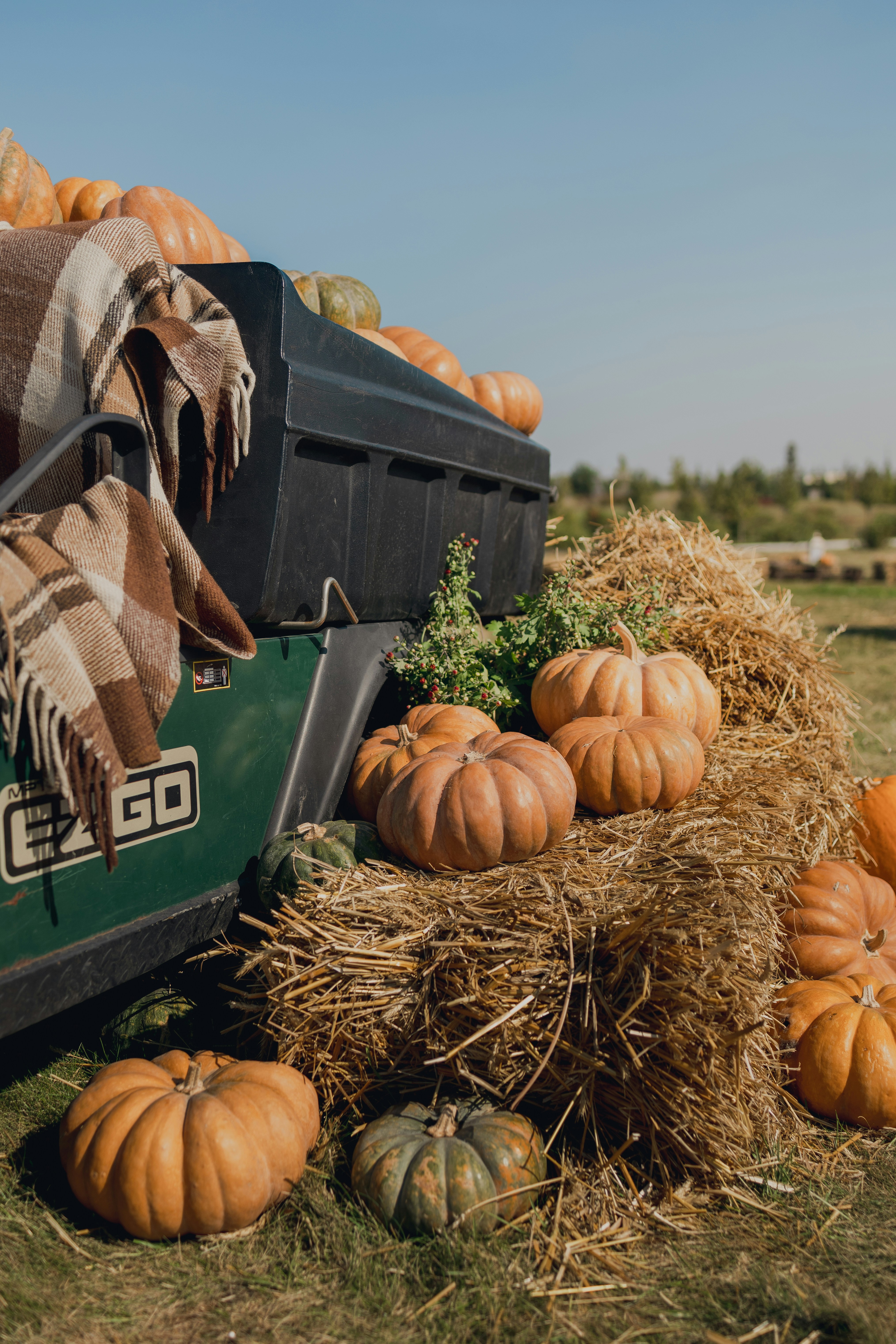 Pumpkins on a Haystack Ramp: Harvest Color and Texture